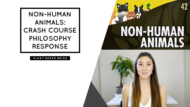Non-Human Animals Crash Course Philosophy Response — Plant Based Bride