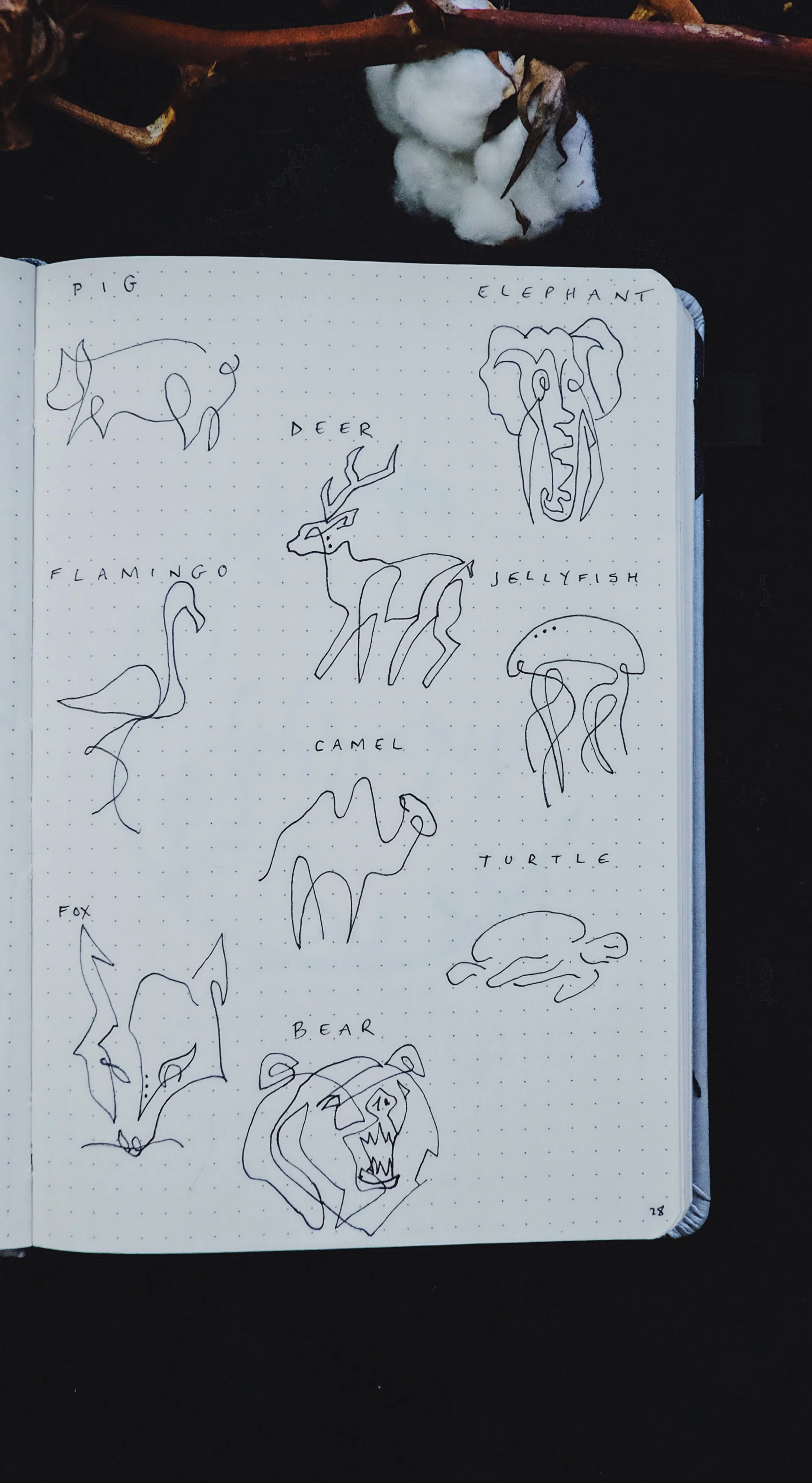 How To Draw Line Art Animals: A One Line Drawing Tutorial — Plant Based ...