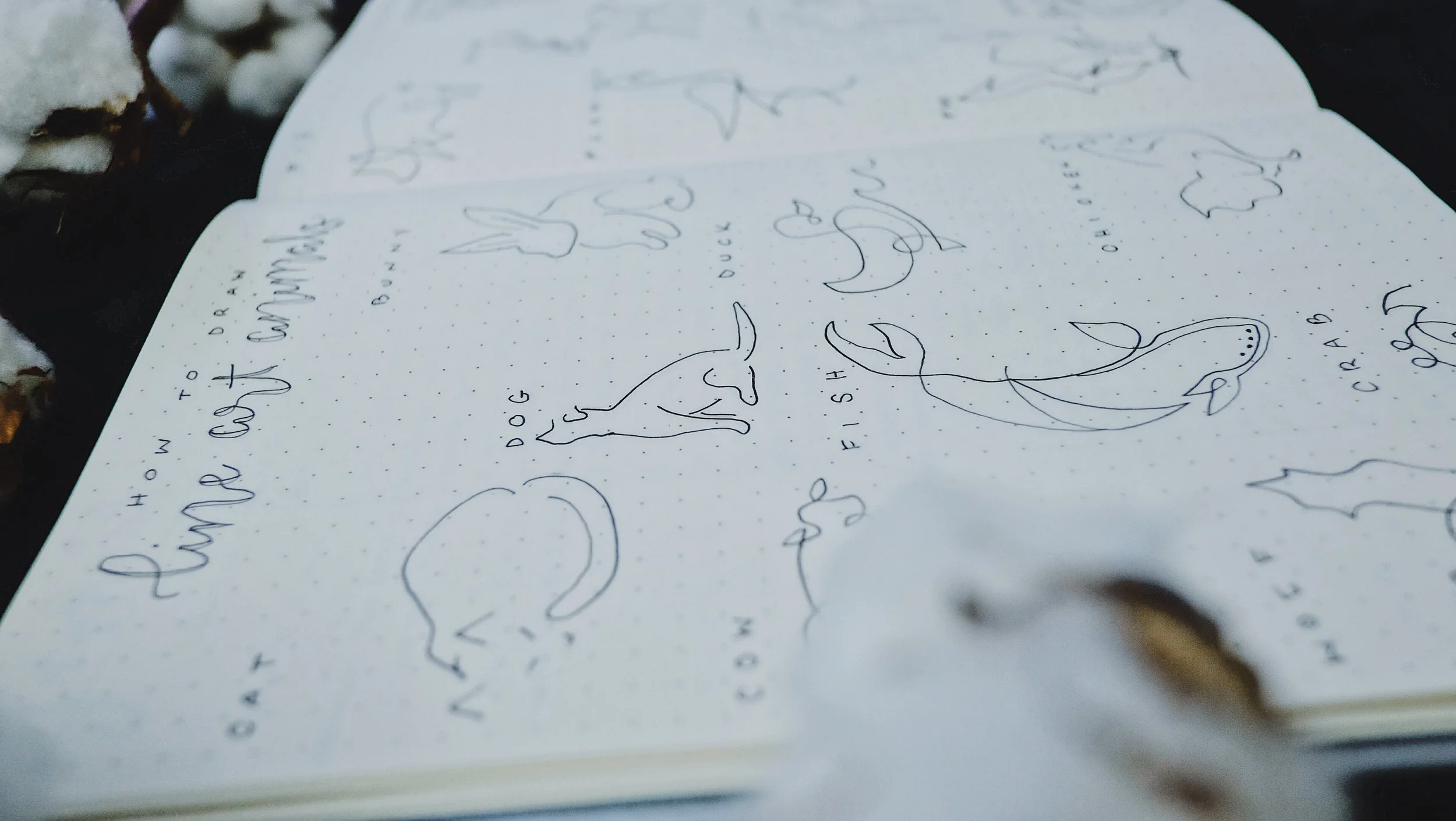 How To Draw Line Art Animals: A One Line Drawing Tutorial — Plant Based ...