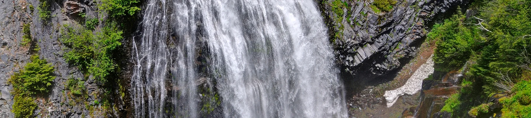 Miles Neff, DDS - Family Dentistry