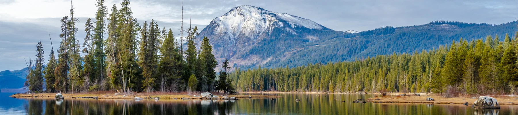 Miles Neff, DDS - Family Dentistry