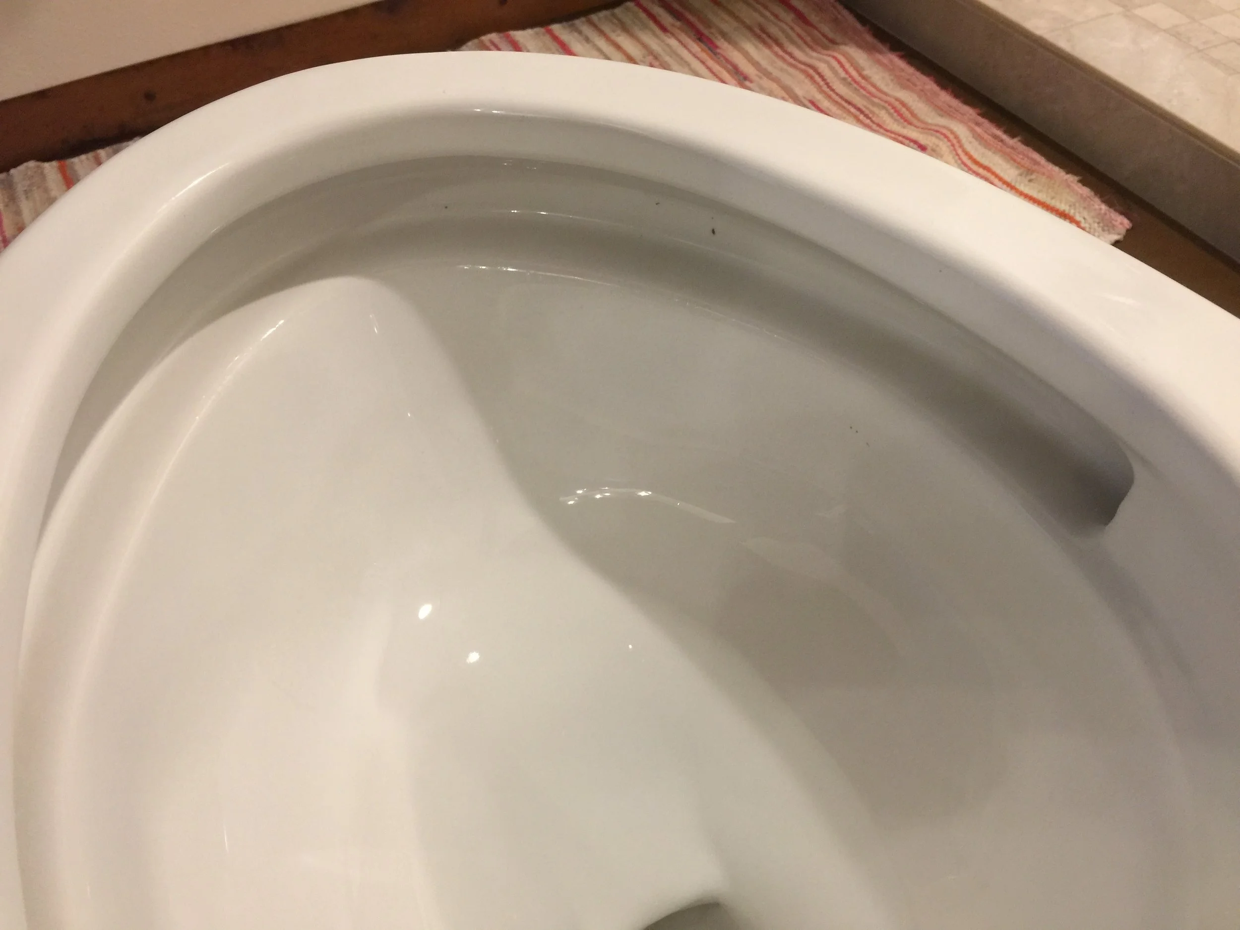 A Single-Flush Toilet in an Eco-Friendly House? — Artemisia