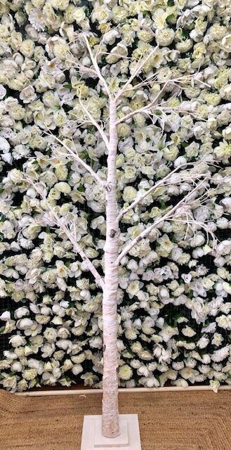 Props — Celebration Set Ups