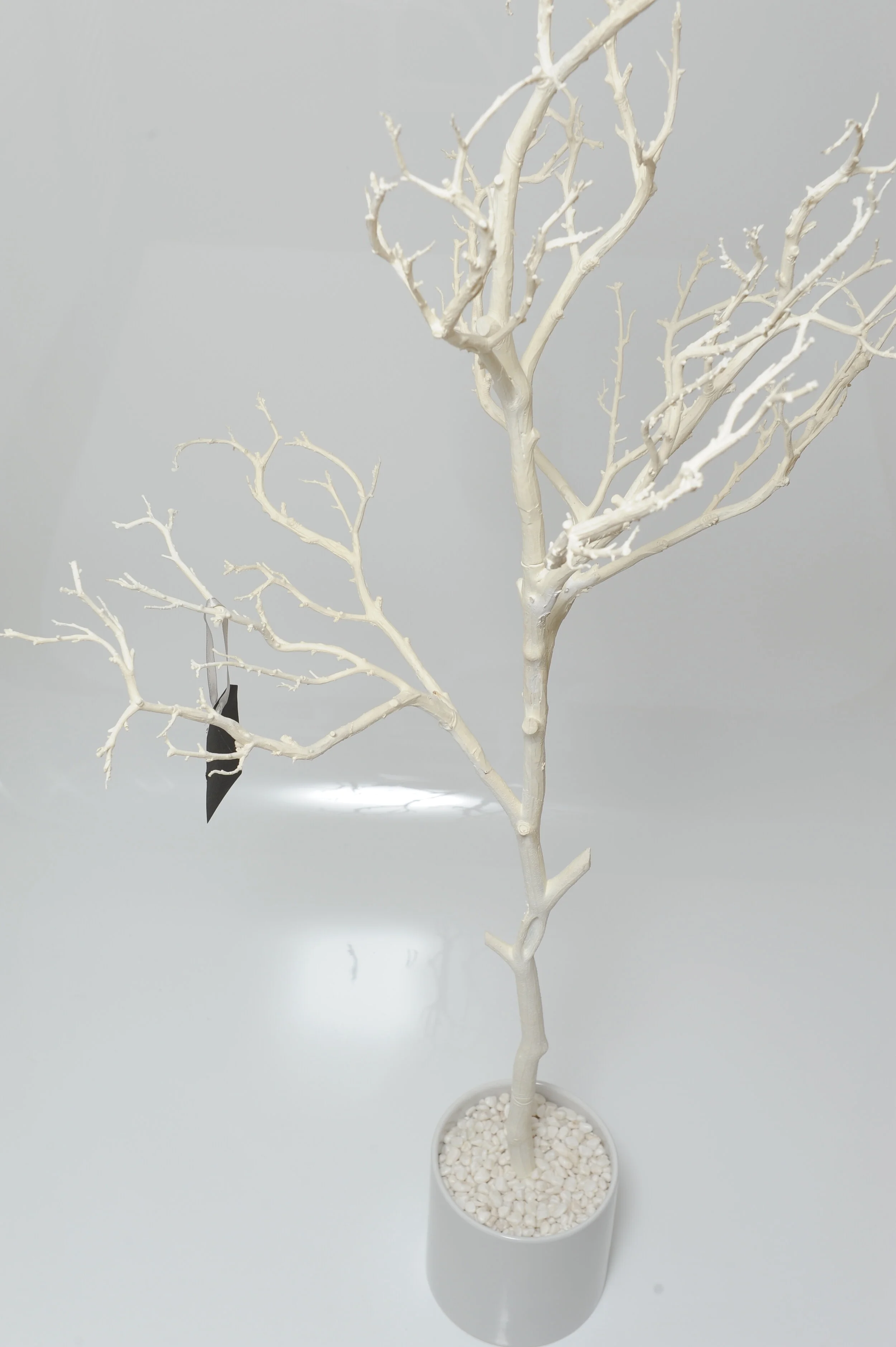 Props — Celebration Set Ups