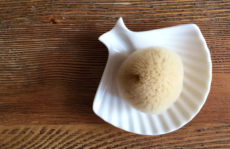 6 Tips to Care for Natural Sea Sponges — Dirty Mermaid