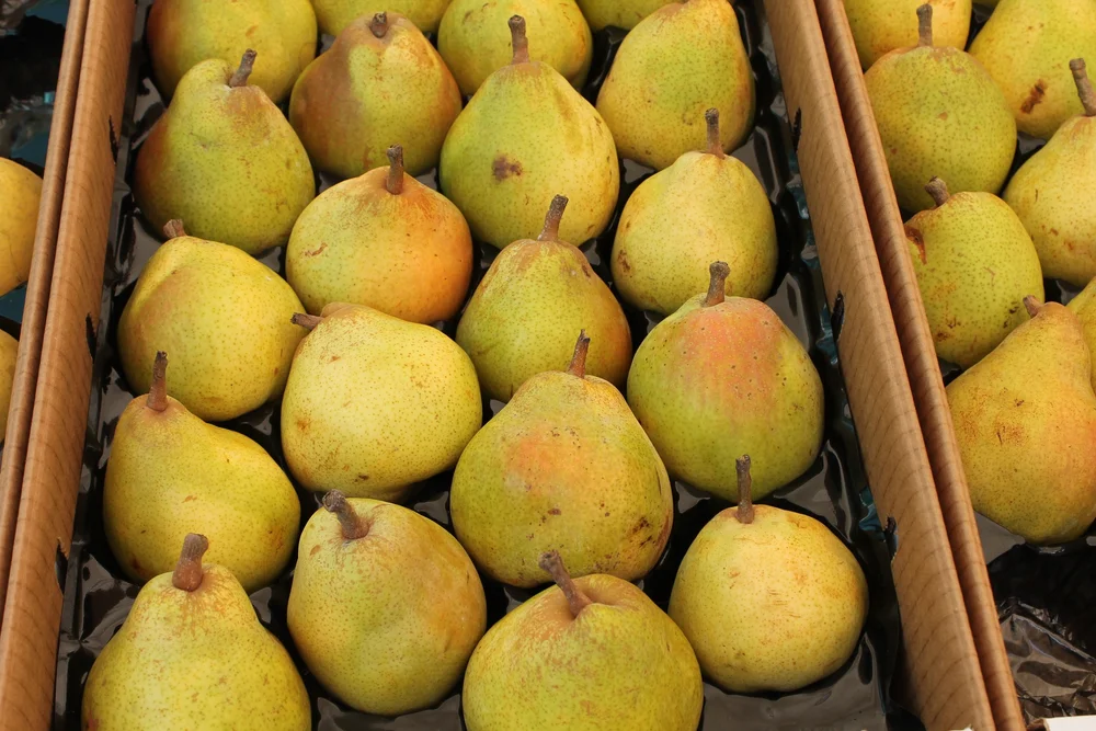 The Guide To Eating In Season: Fall Edition — mike martin