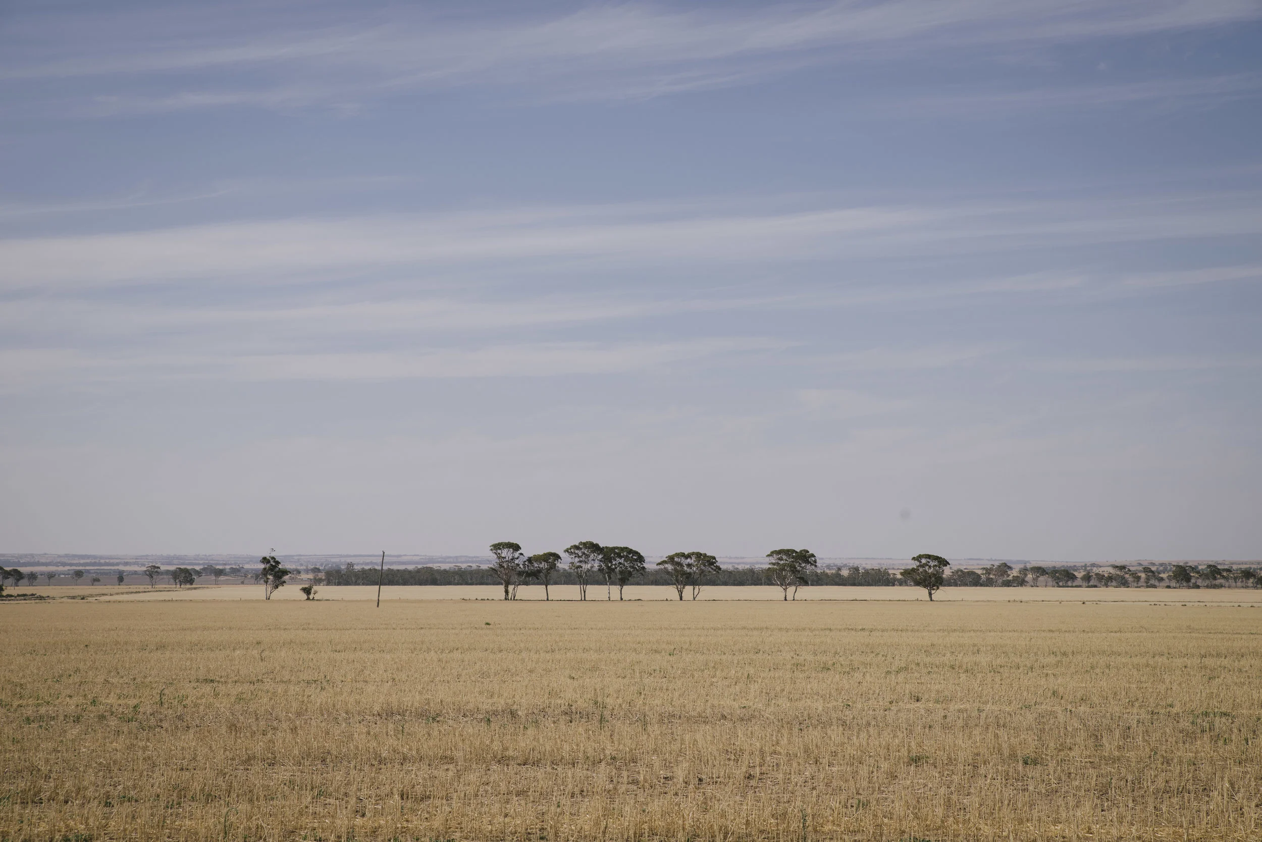 Nic + Tenielle | Rustic Farm Wedding, Merredin | 16 December 2017 ...