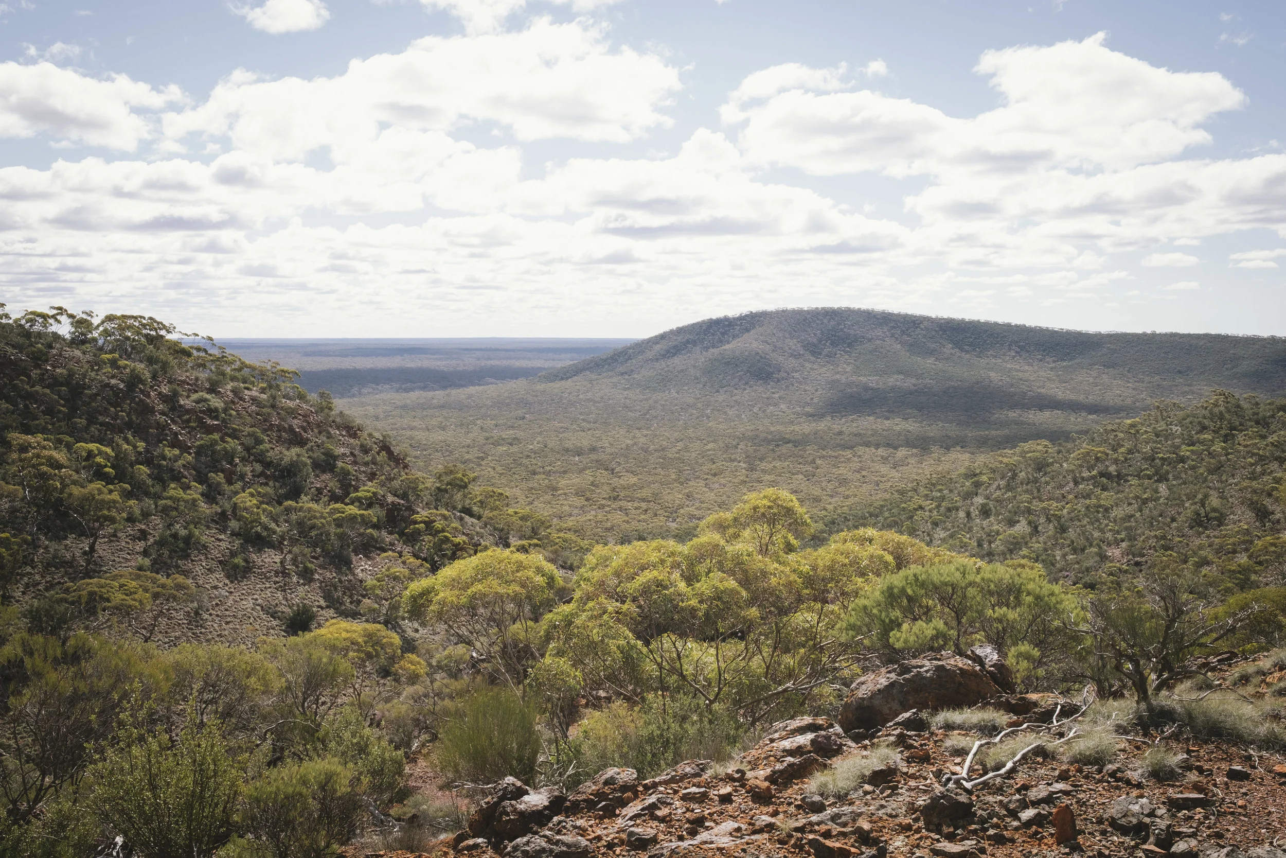 Koolyanobbing — Journal — Angie Roe Photography | Professional ...