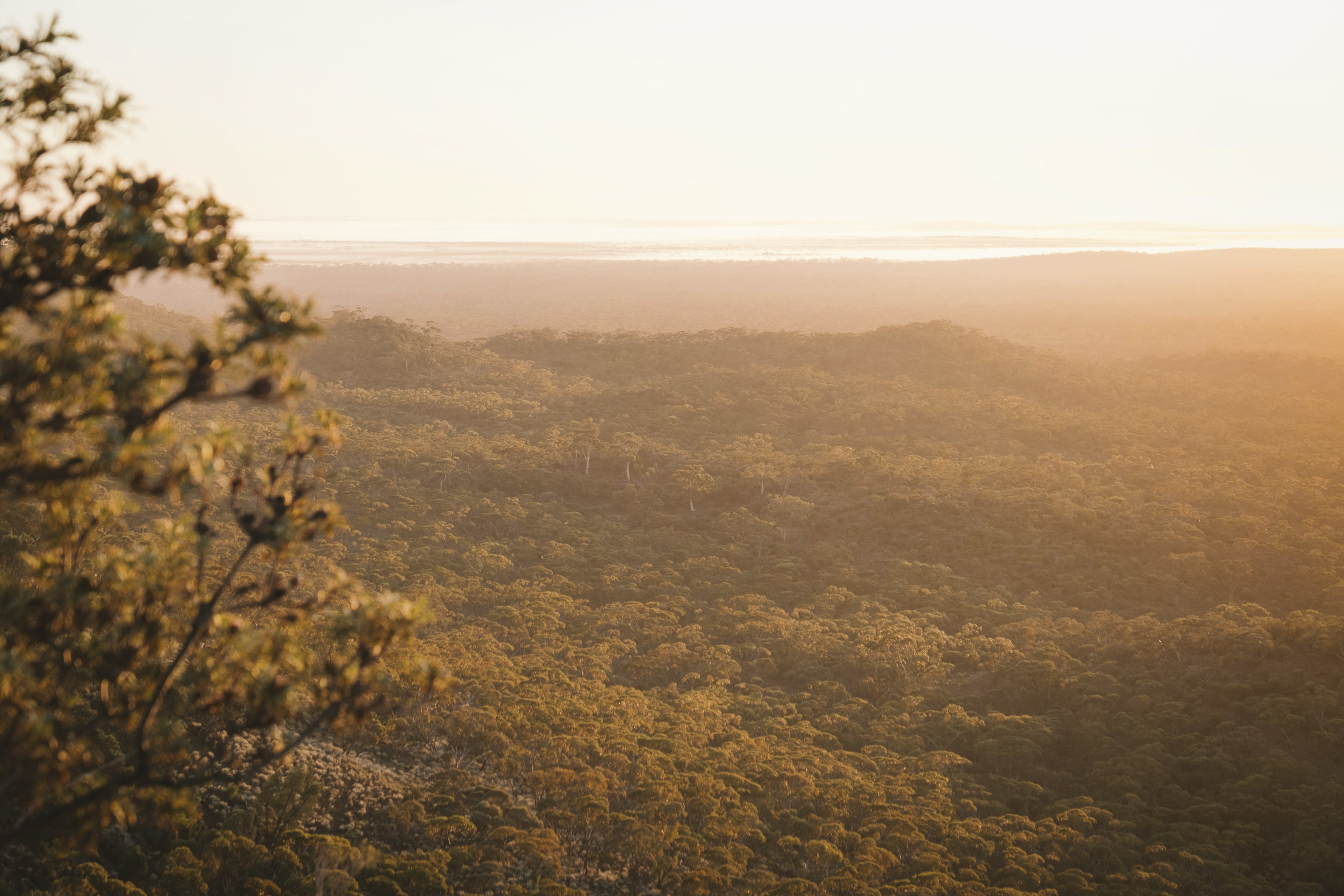 Helena & Aurora Range | Koolyanobbing WA | September 2018 {Avon Valley ...