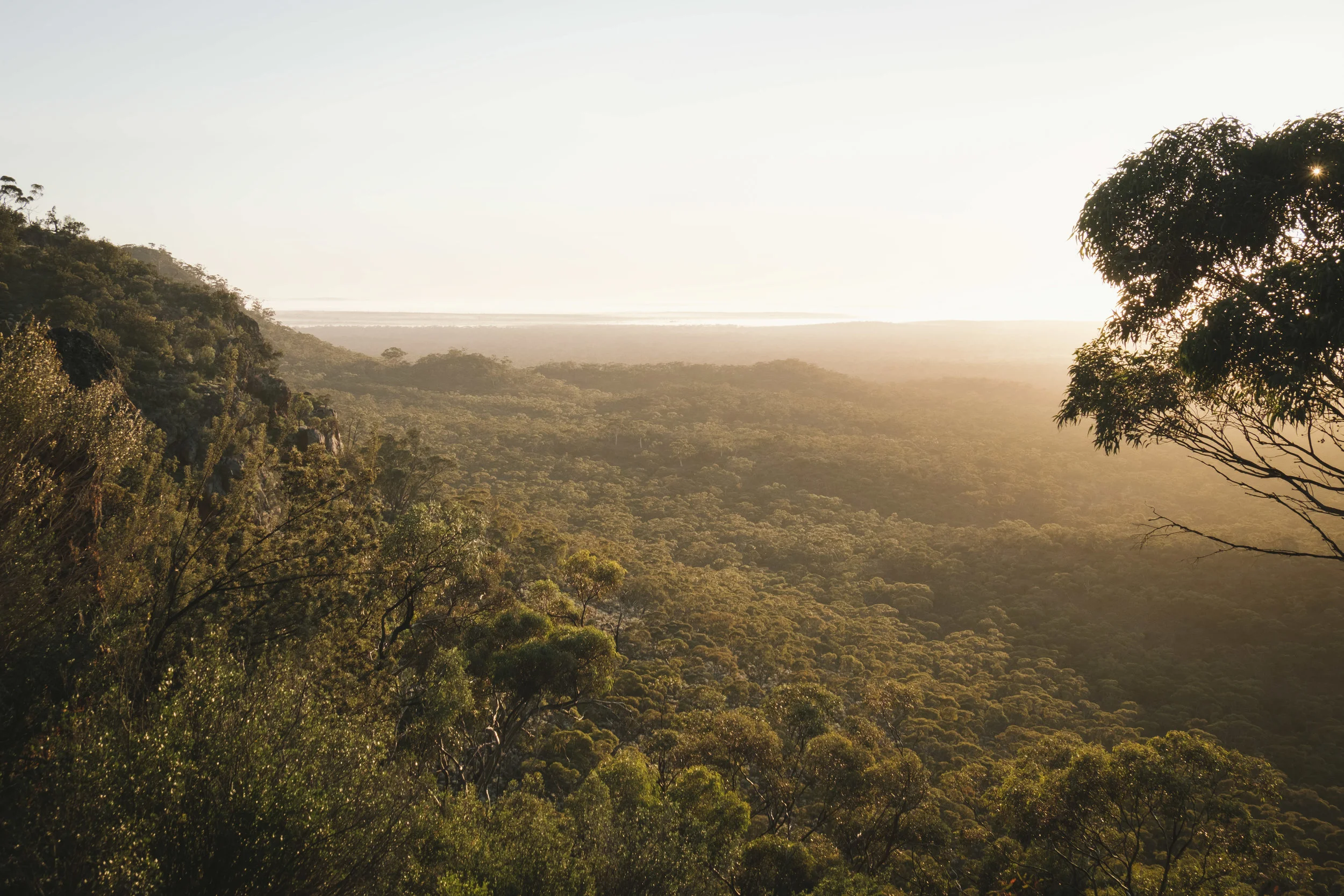 Helena & Aurora Range | Koolyanobbing WA | September 2018 {Avon Valley ...