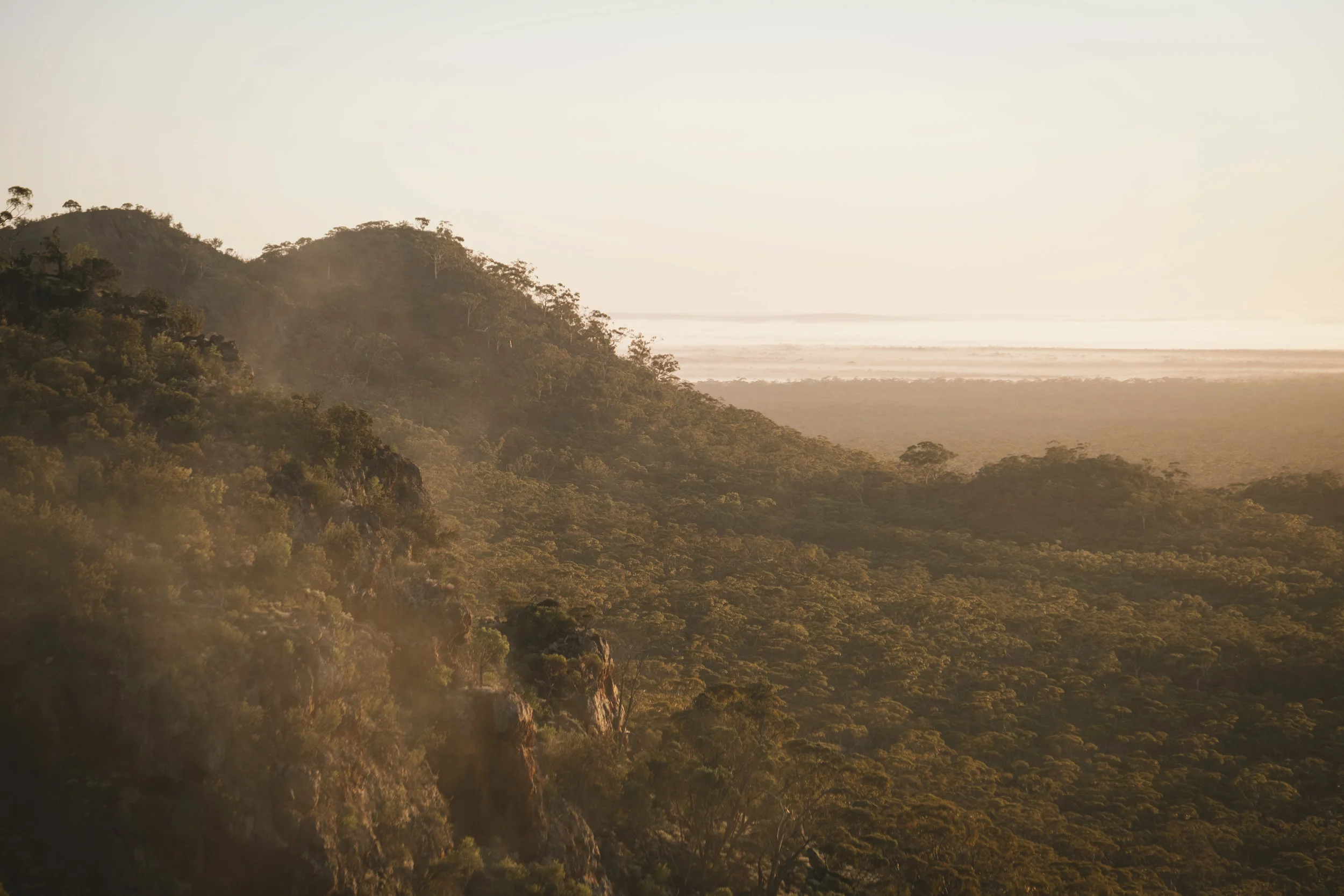 Koolyanobbing — Journal — Angie Roe Photography | Professional ...