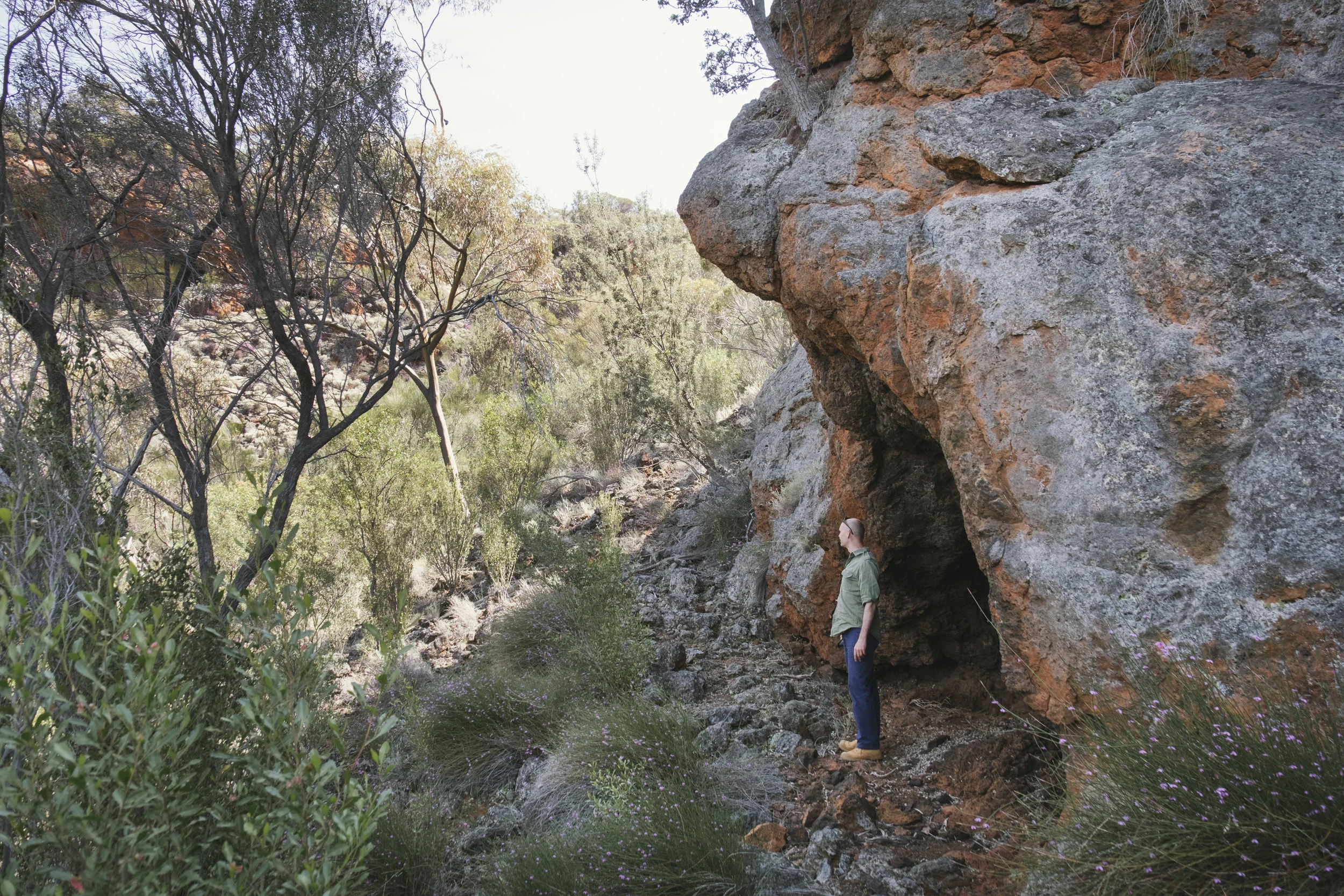 Helena & Aurora Range | Koolyanobbing WA | September 2018 {Avon Valley ...