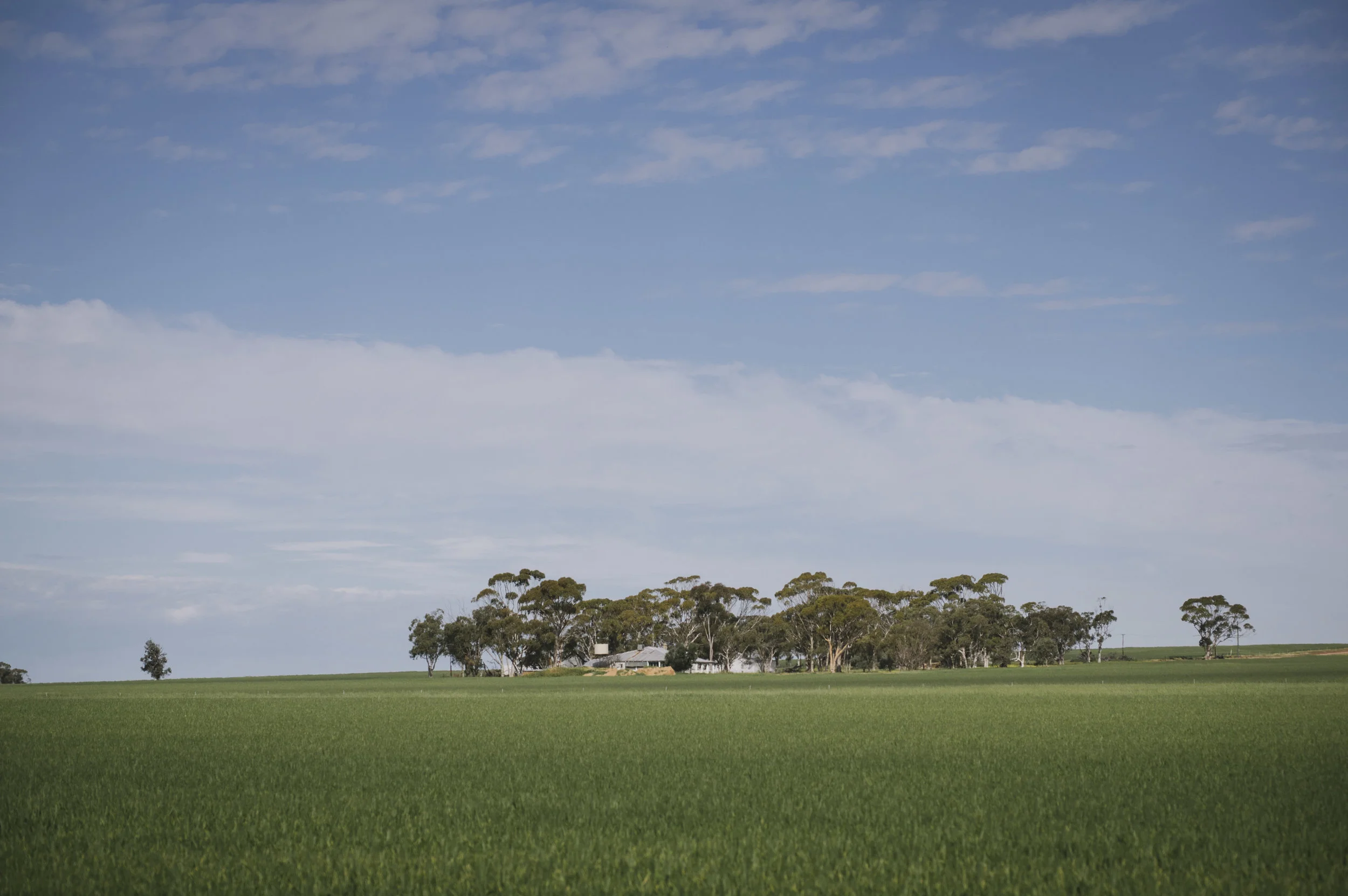 Glenn + Jess | Rustic Farm Wedding | Northam WA | 22 September 2018 ...