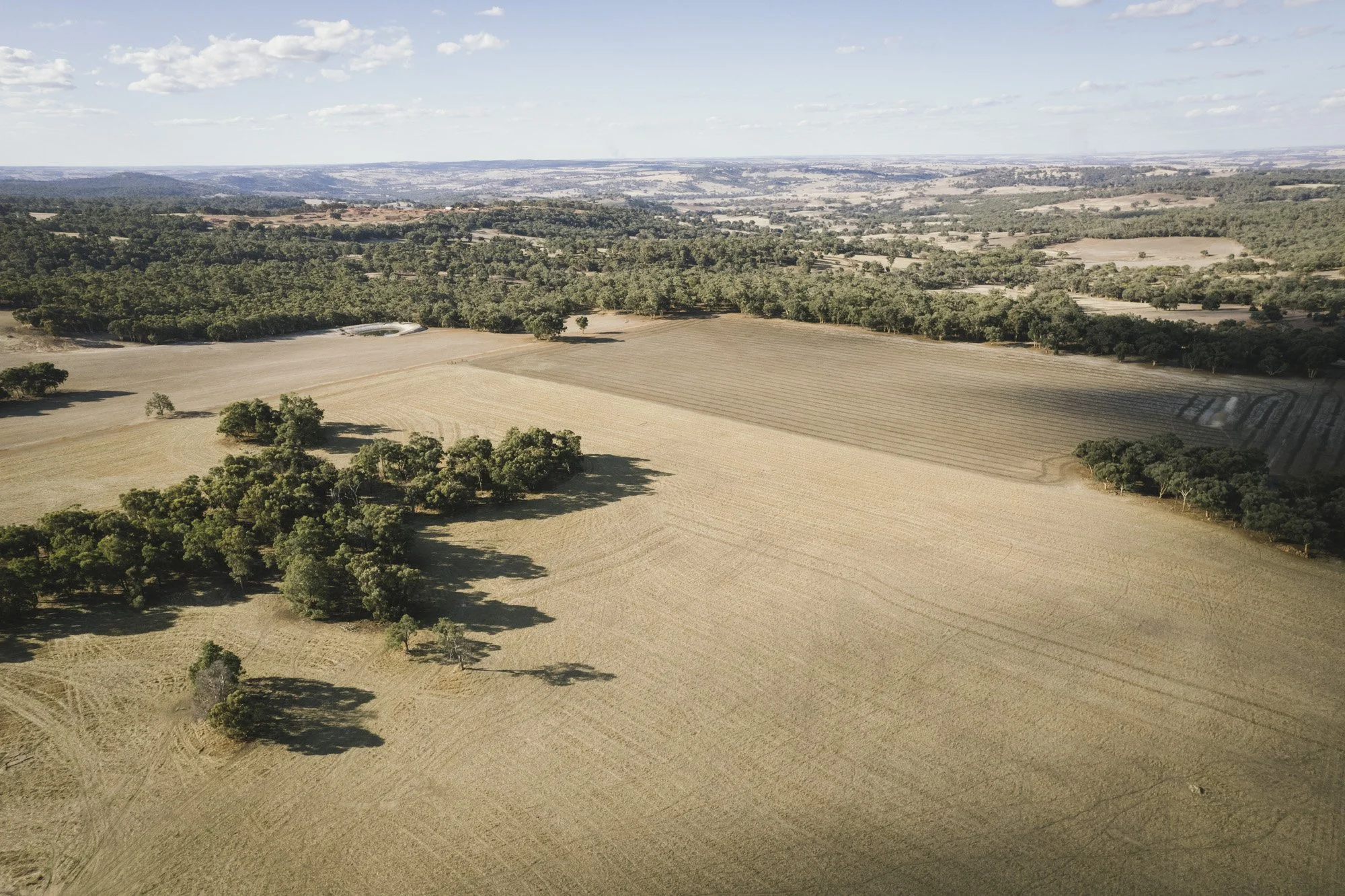 22 From ’22 | A Snapshot of 2022 {Avon Valley, Wheatbelt & Perth ...