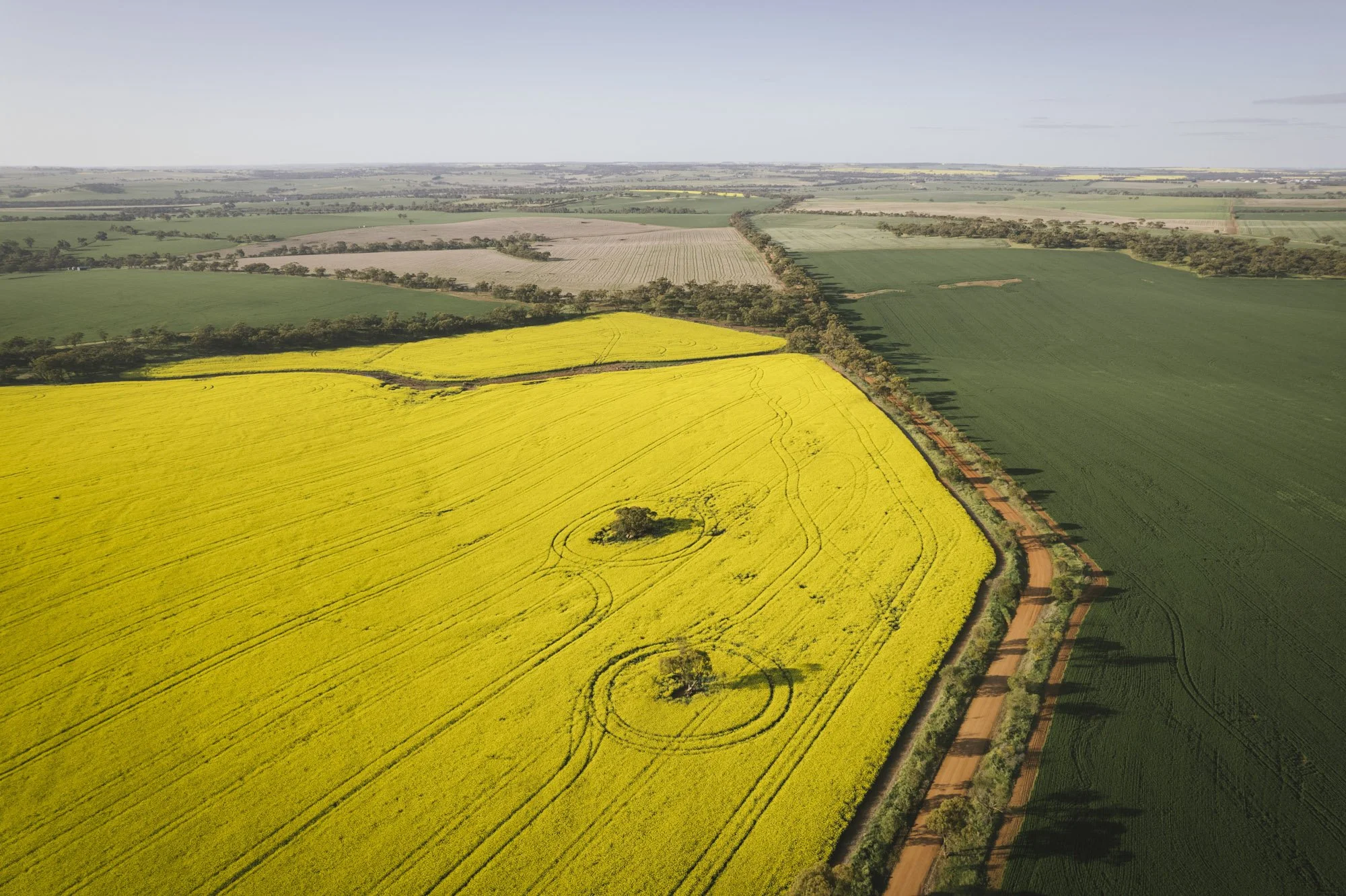 23 From '23 | A Snapshot of 2023 {Avon Valley, Wheatbelt & Perth ...