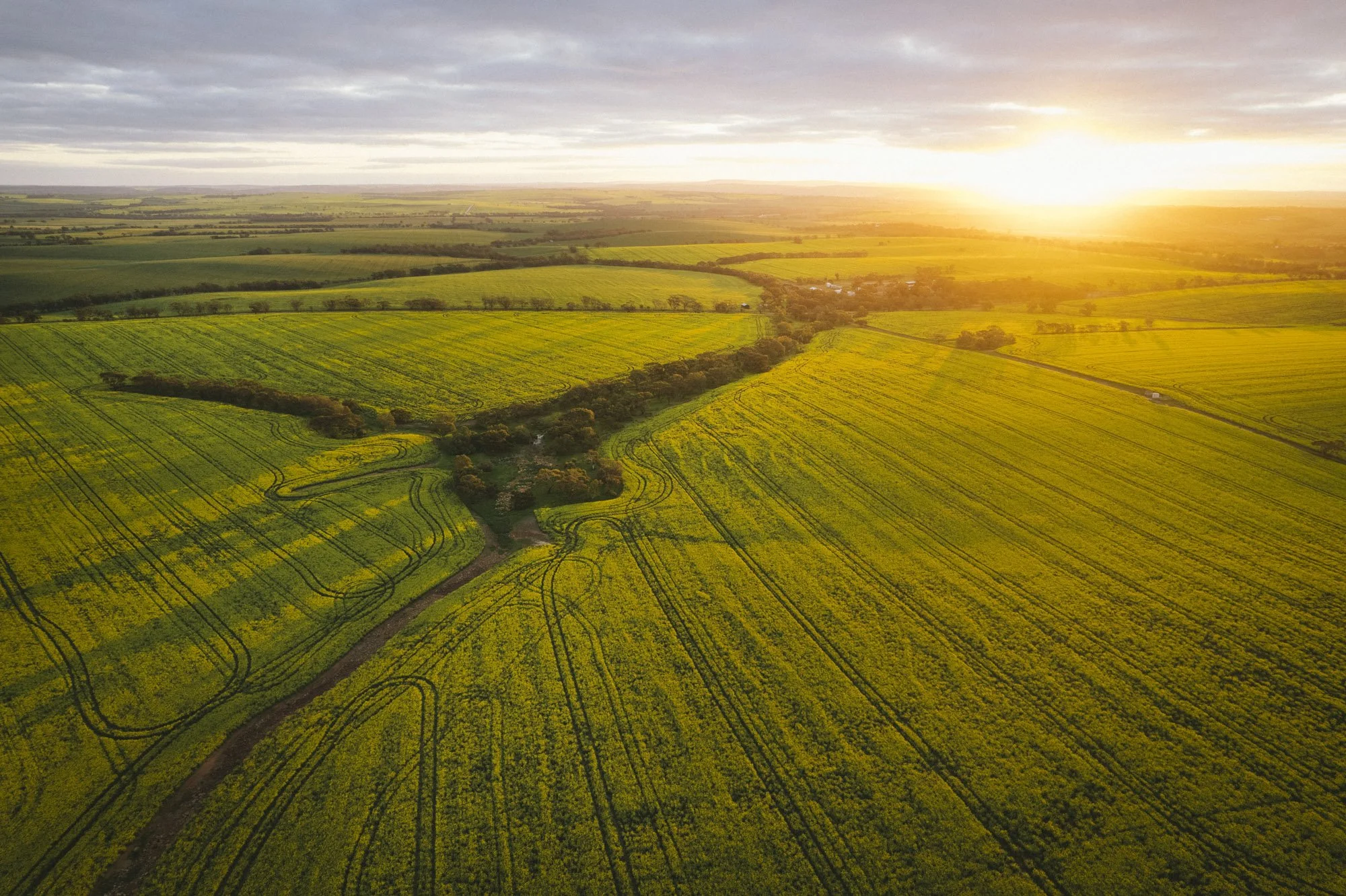 24 From '24 | A Snapshot of 2024 {Avon Valley, Wheatbelt & Perth ...