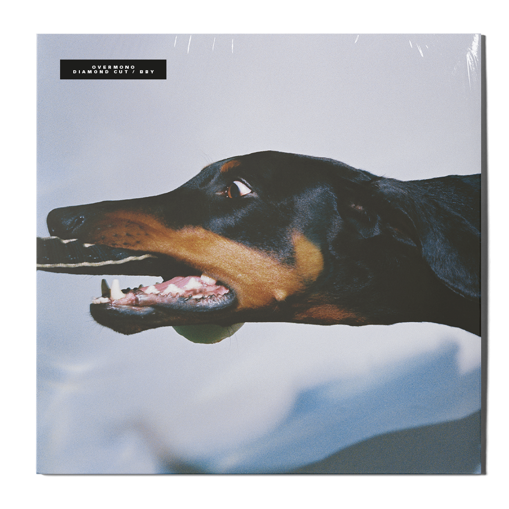 STILLS — ROLLO JACKSON