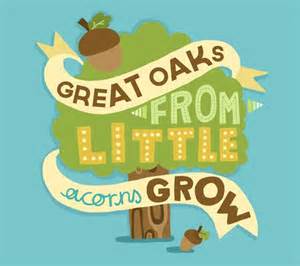 Little Acorn Preschool