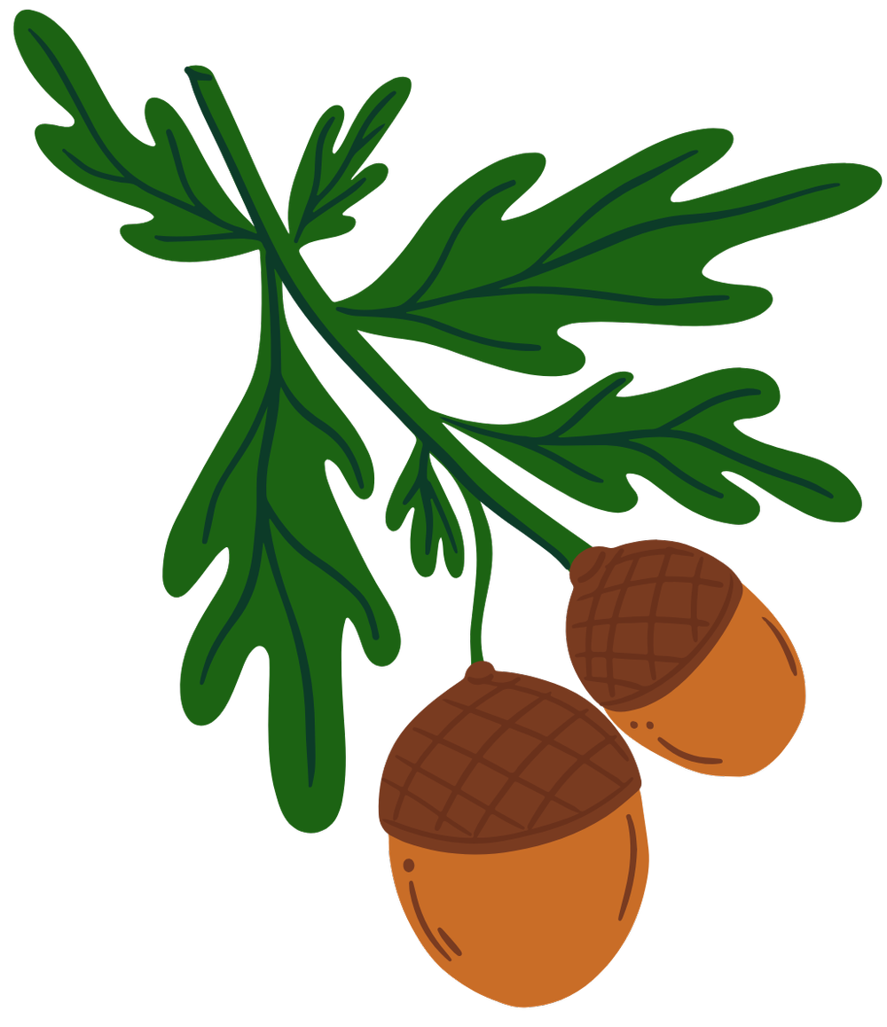 Little Acorn Preschool