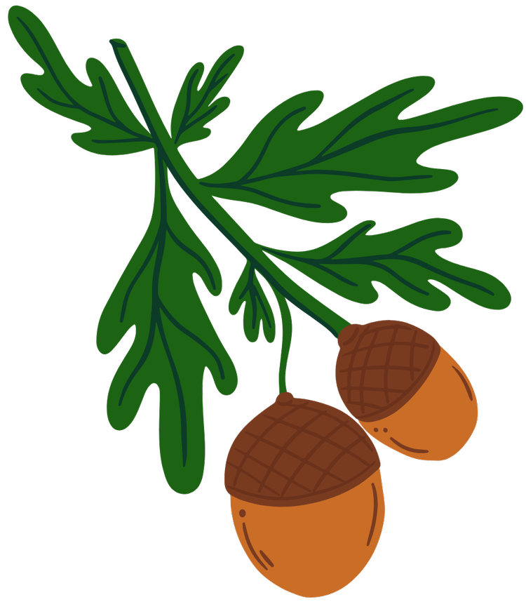 Little Acorn Preschool