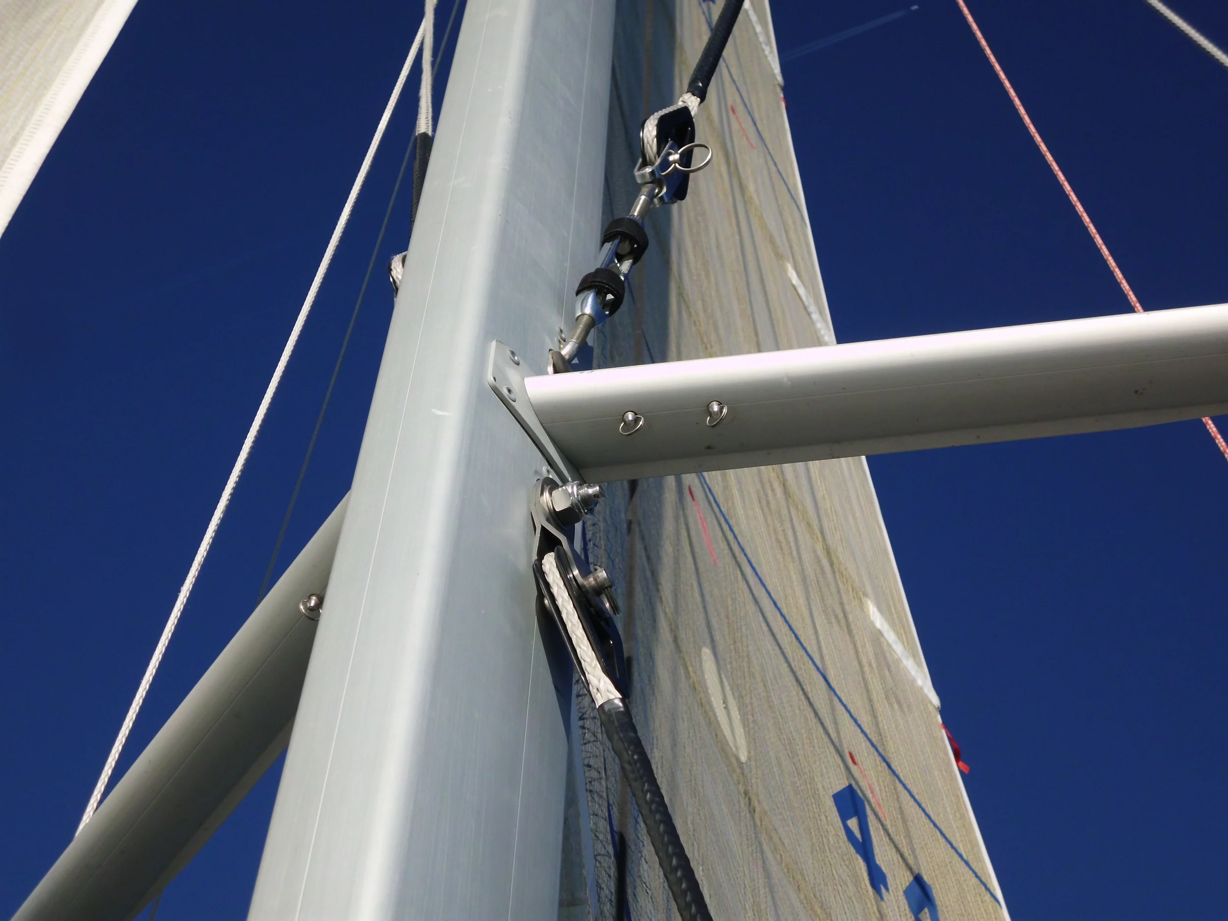 Meet the Team — Colligo Marine®