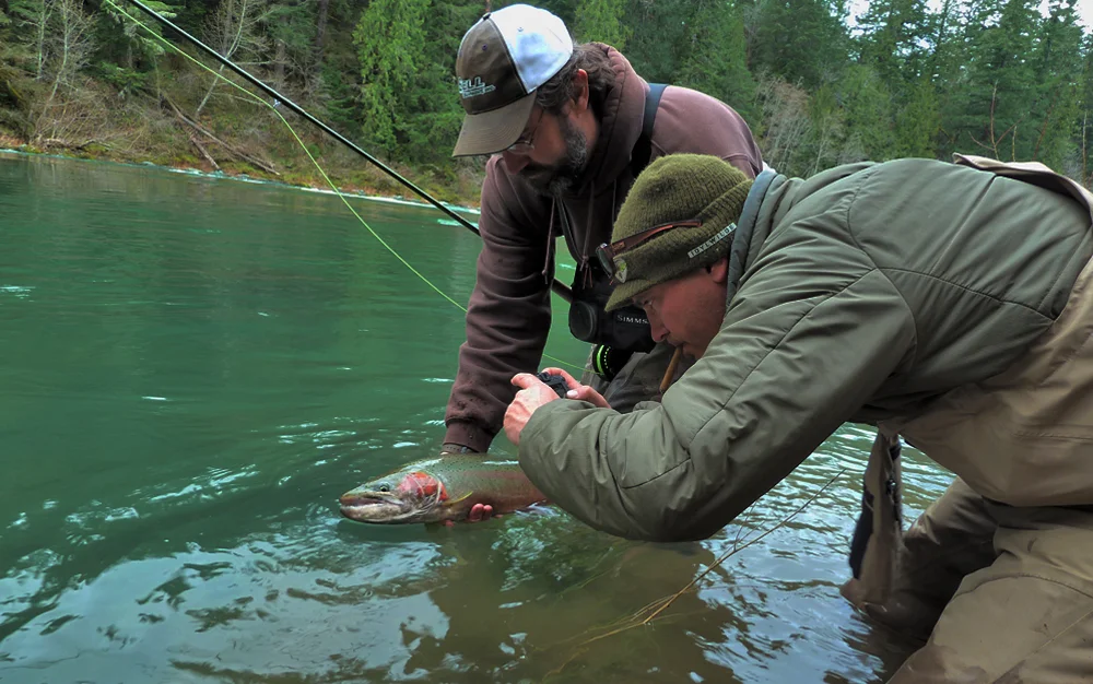 Tips — Keep Fish Wet