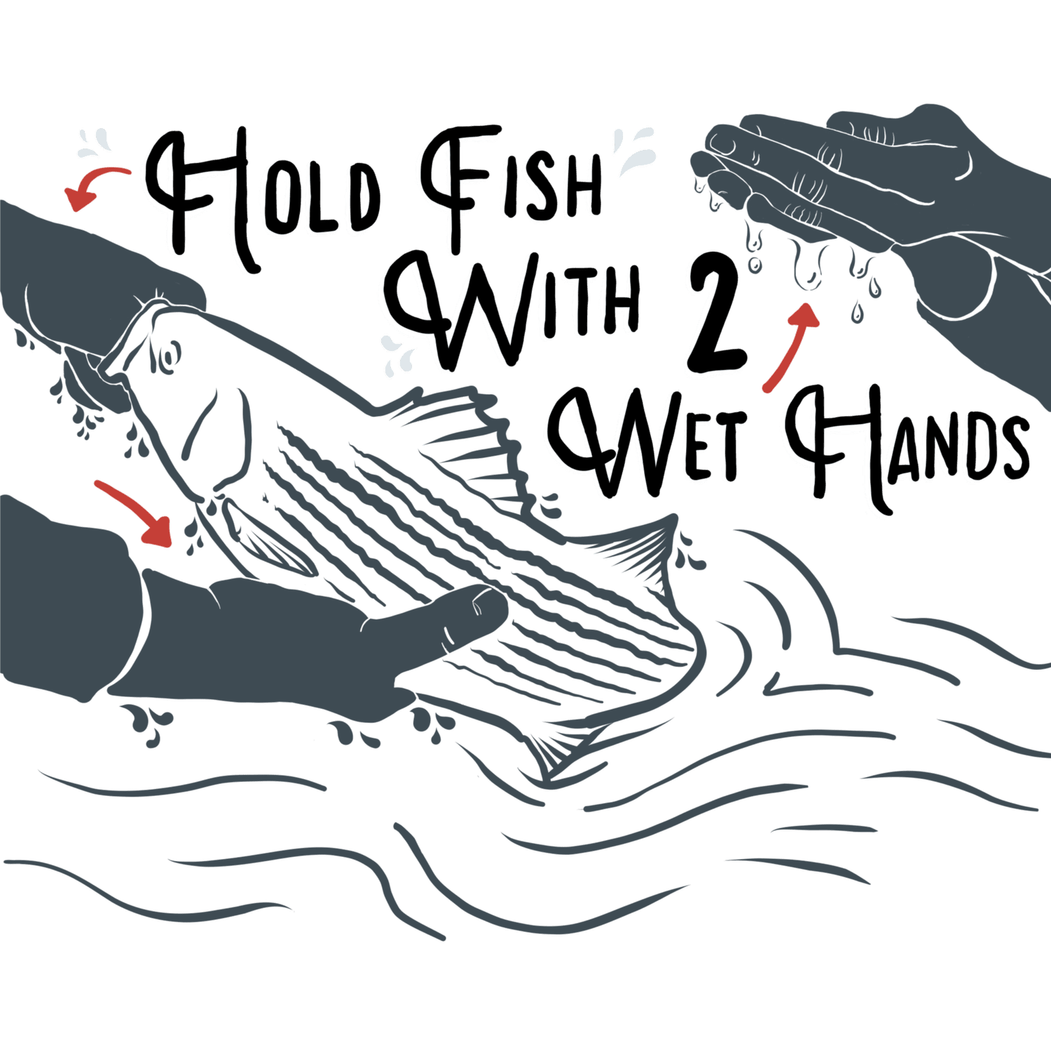 Stripers In Our Hands — Keep Fish Wet