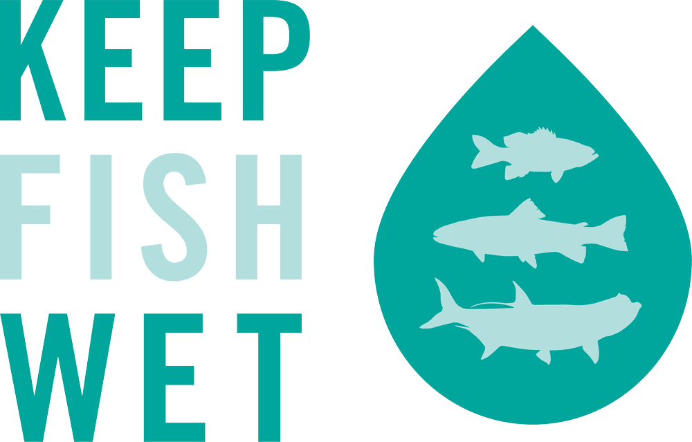 Steelhead In Our Hands — Keep Fish Wet