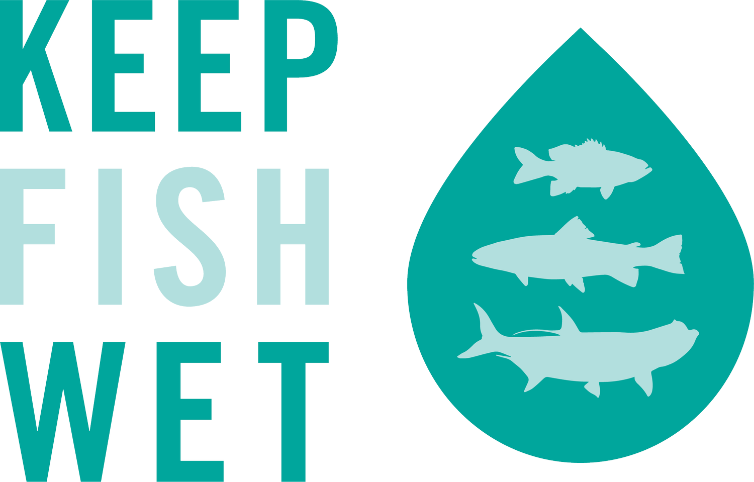 Steelhead In Our Hands — Keep Fish Wet