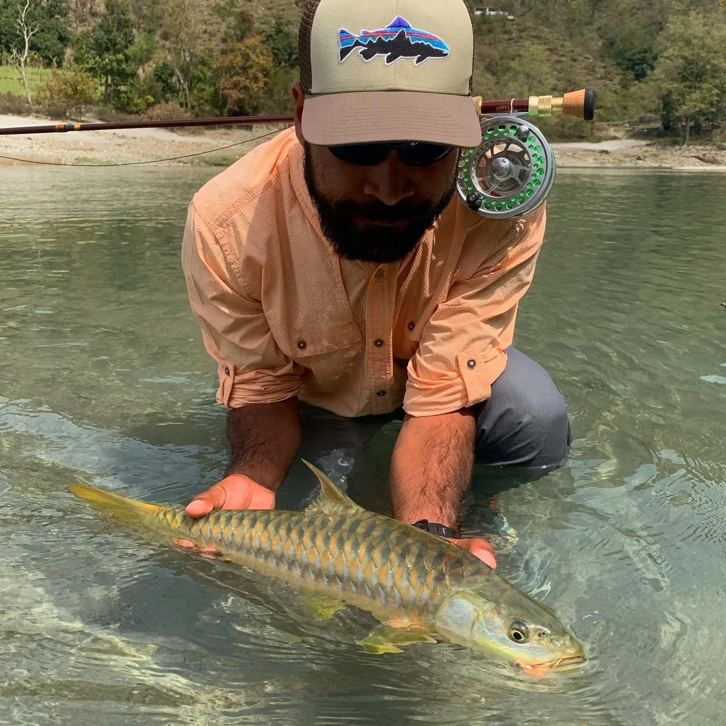 Keep Fish Wet