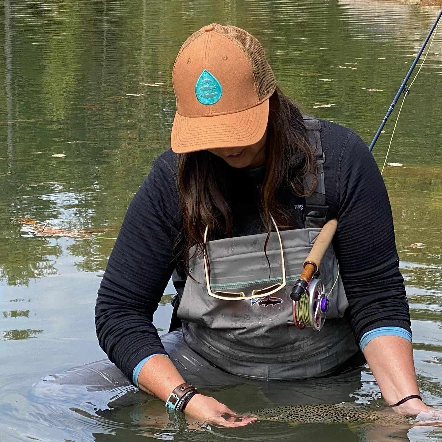 Keep Fish Wet