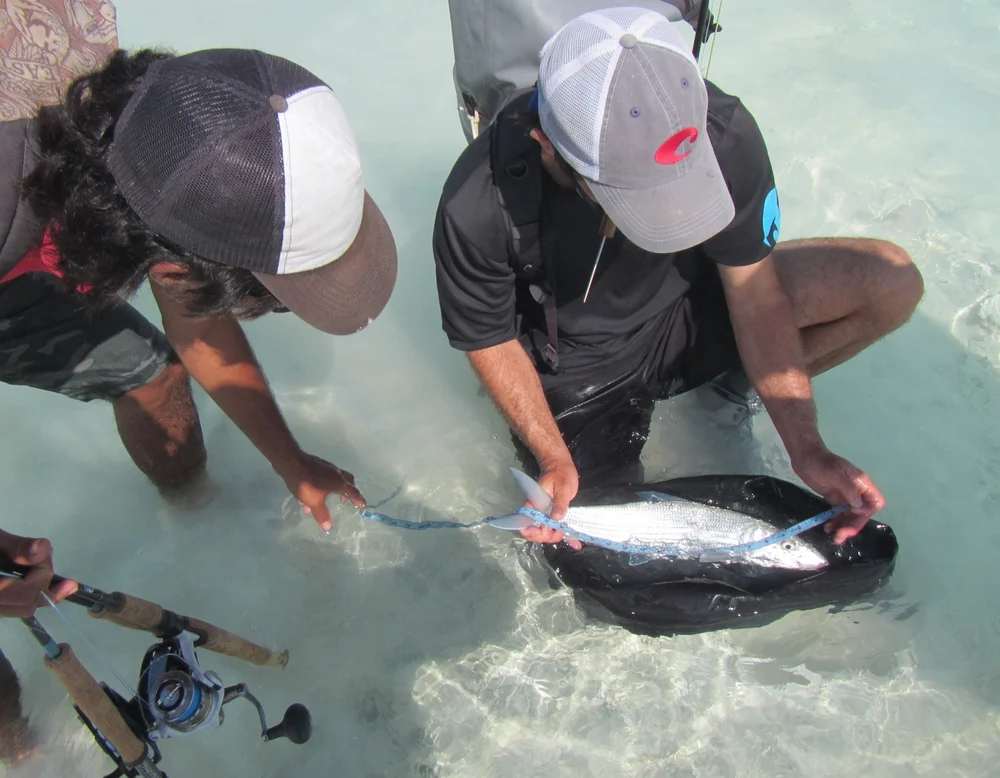 Bonefish In Our Hands — Keep Fish Wet