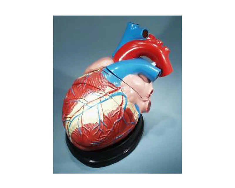 Sale Items — Scorpio Technology