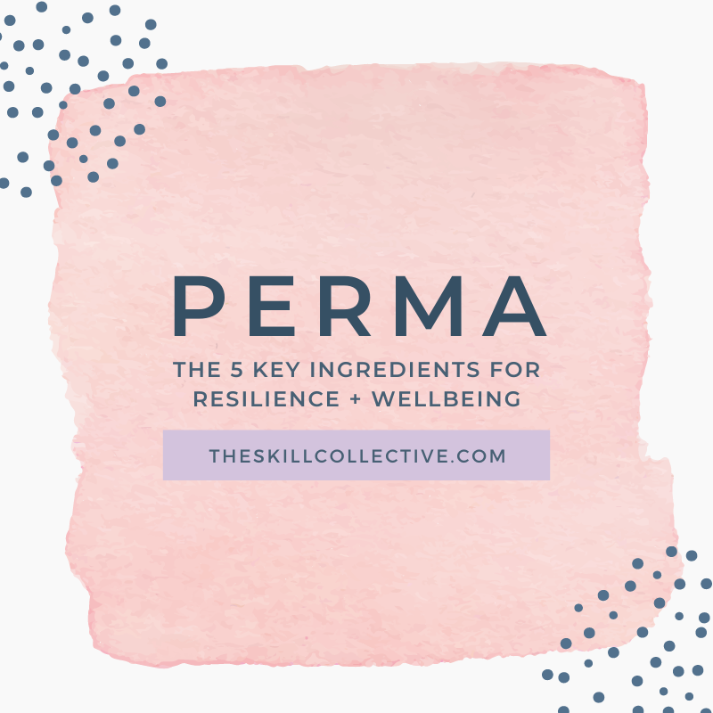 PERMA - 5 key ingredients for building better resilience and wellbeing ...