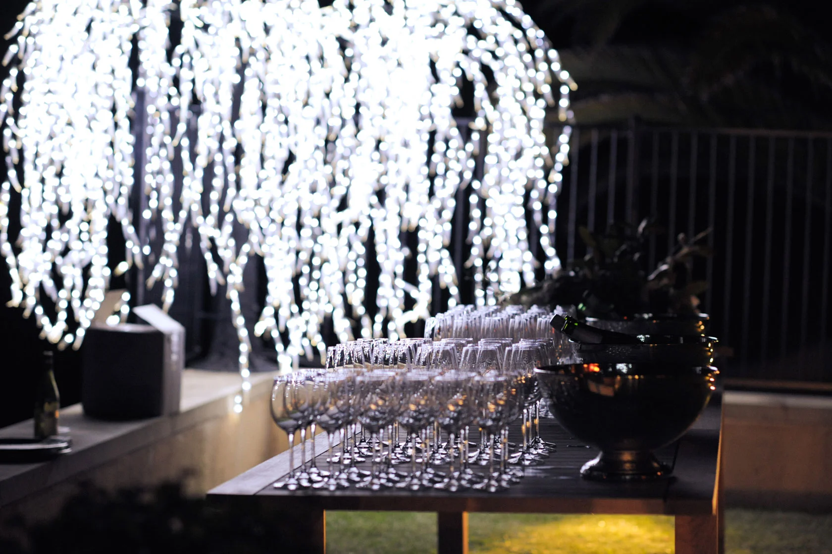 Willow Tree — Avatree