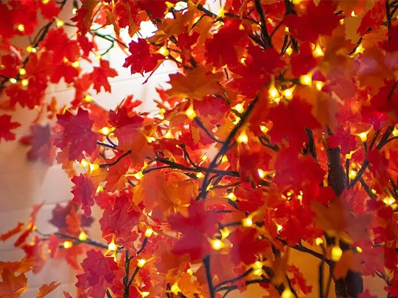 Maple Tree — Avatree