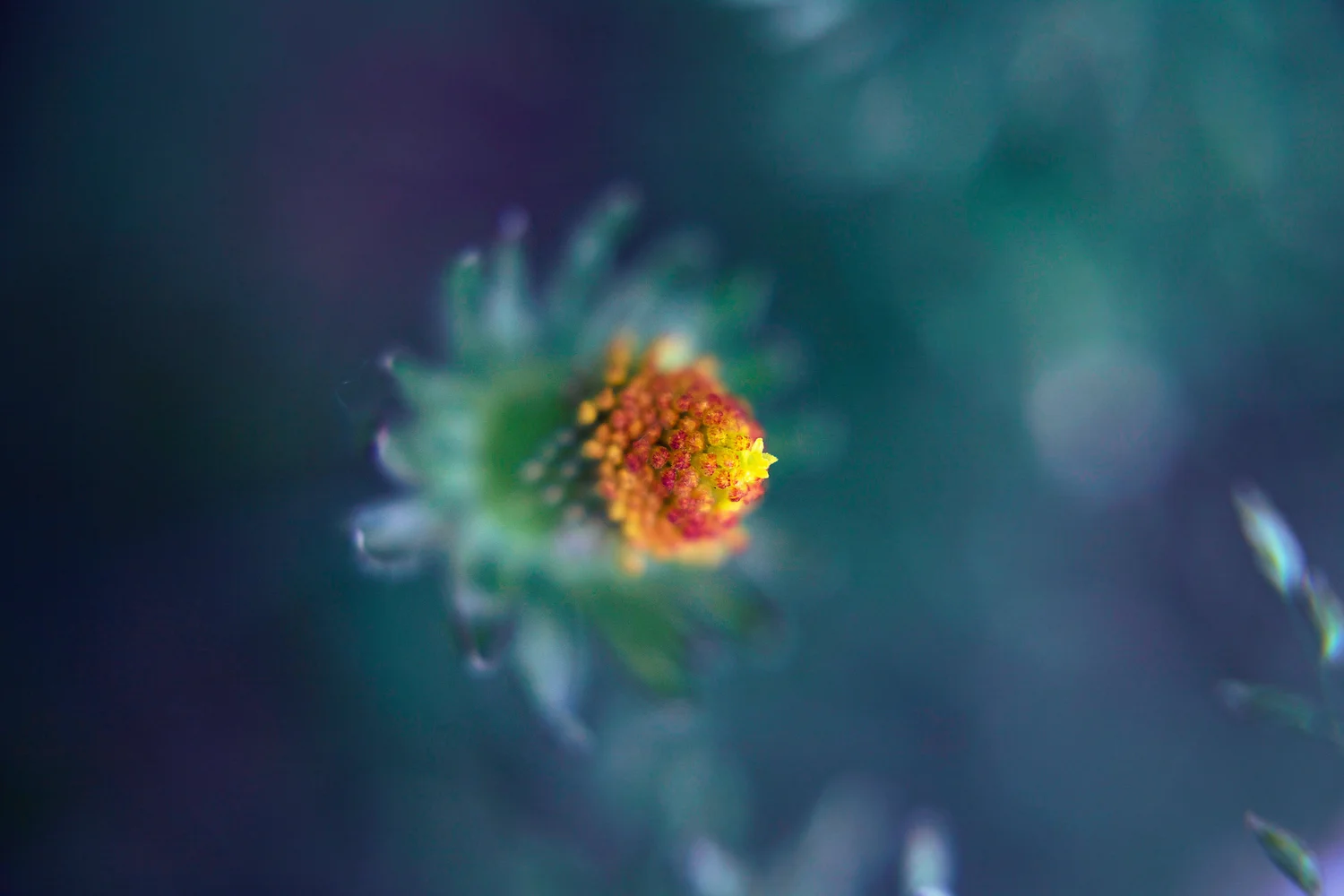 YOUR SPA VISION — Spa Wellness Consulting