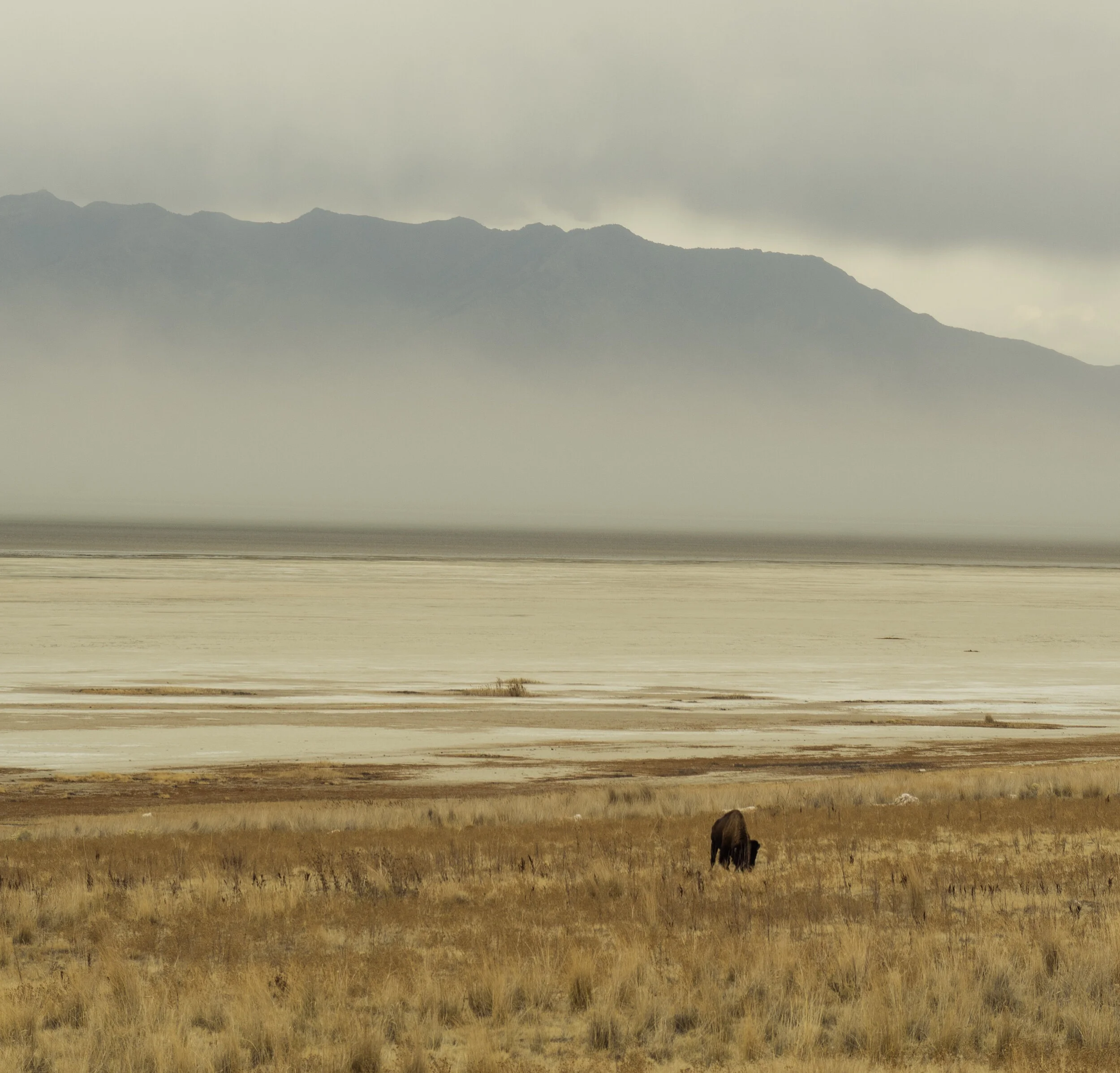 Christian Lee Designs | Central Florida's Interior Designer