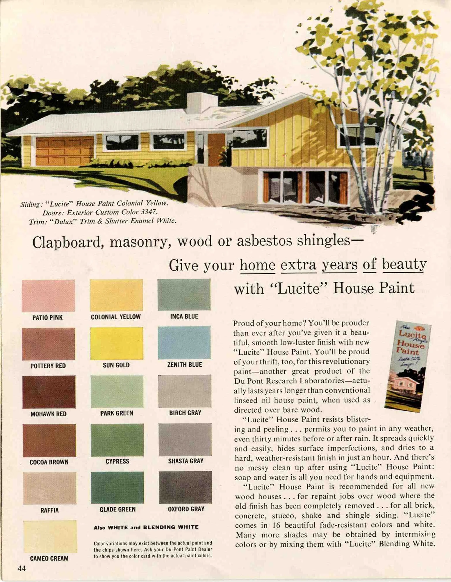 Brighten Your Day with a Splash of Color — Historic Albany Foundation