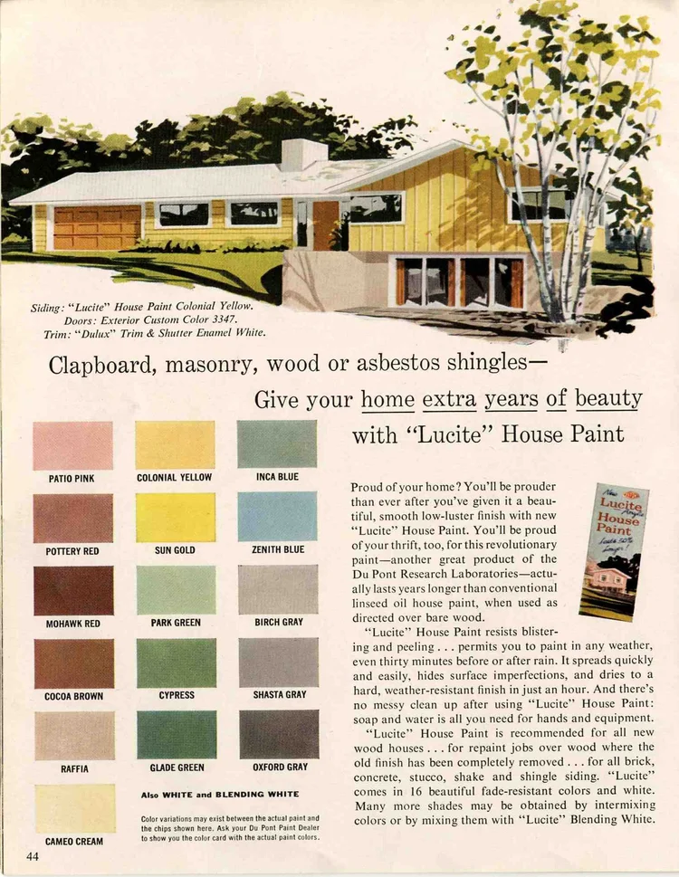 Brighten Your Day with a Splash of Color — Historic Albany Foundation