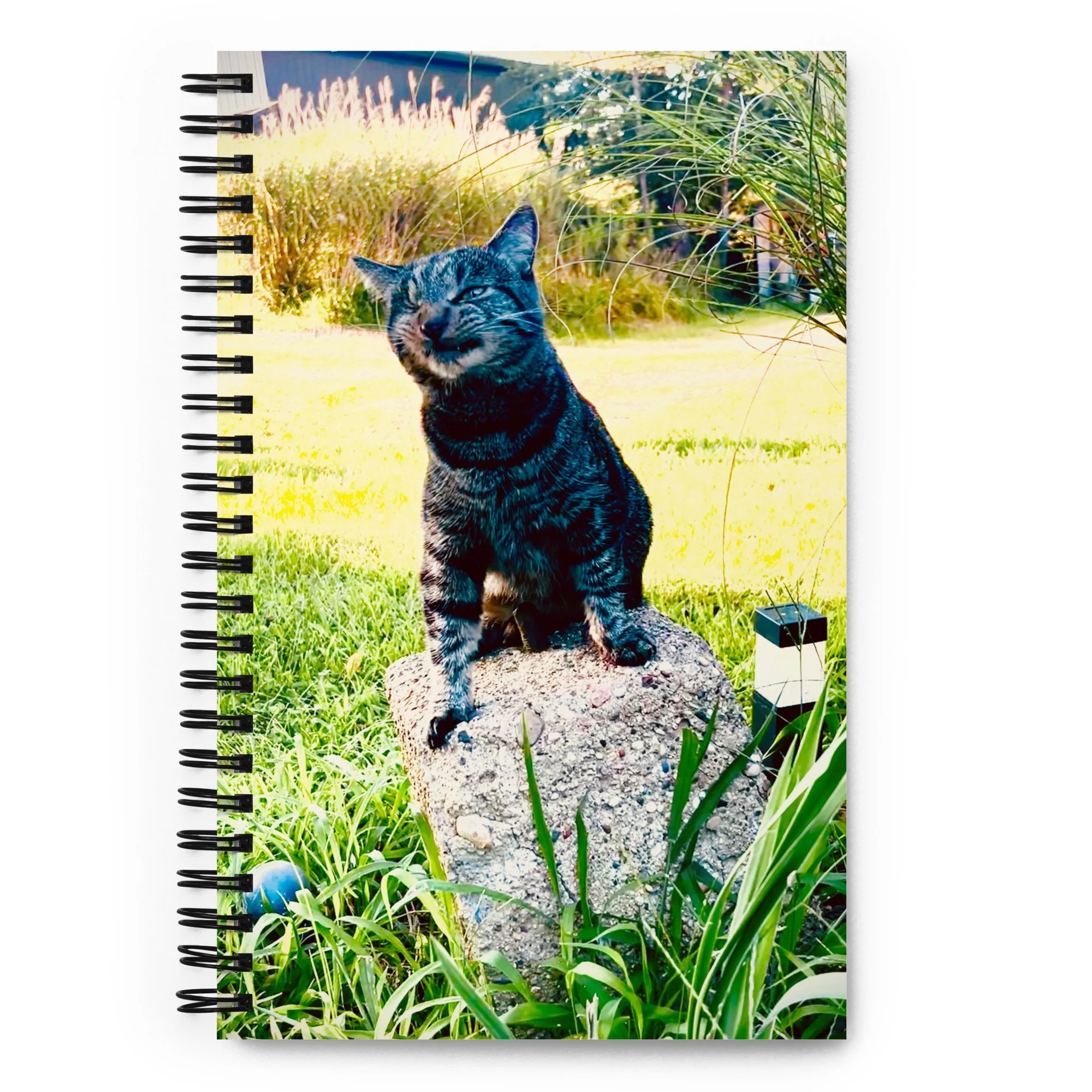 Whittaker Beef tee shirts and merchandise