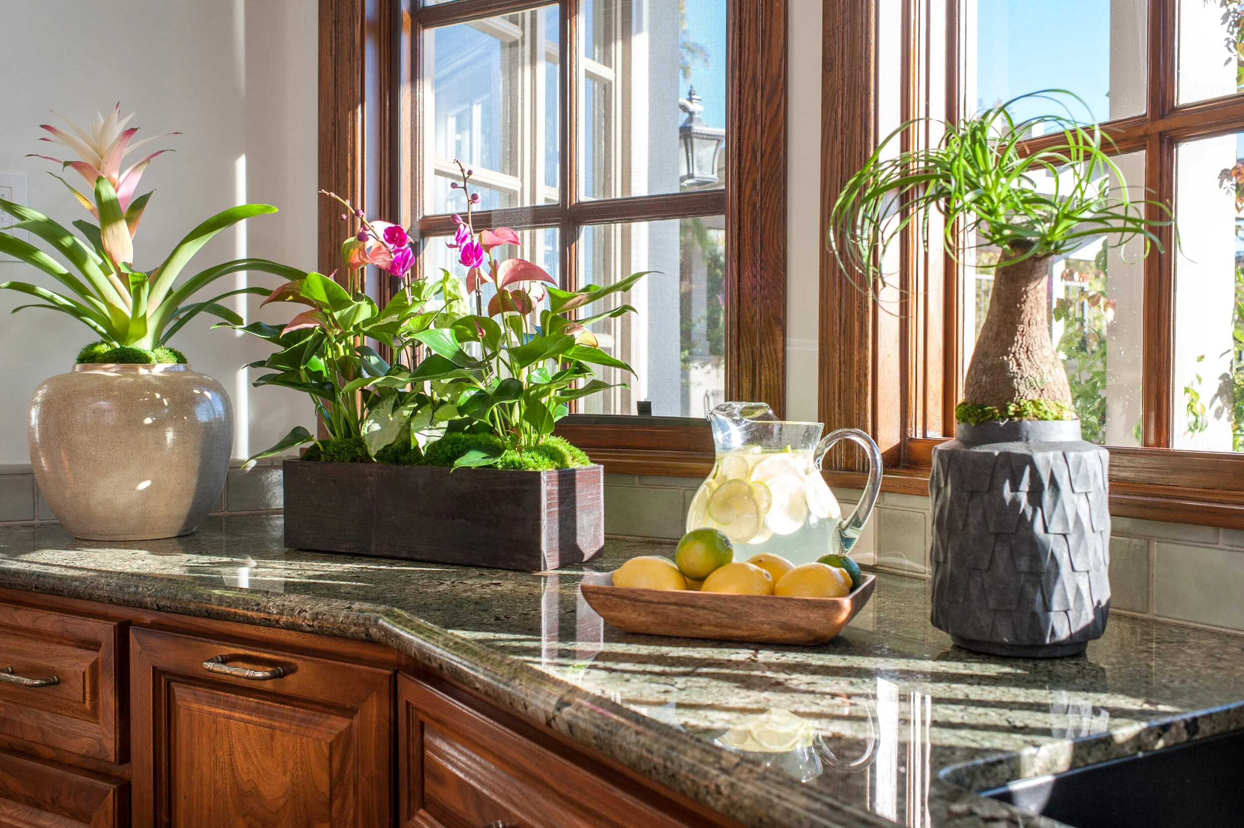 Sarah Barnard Design - Story