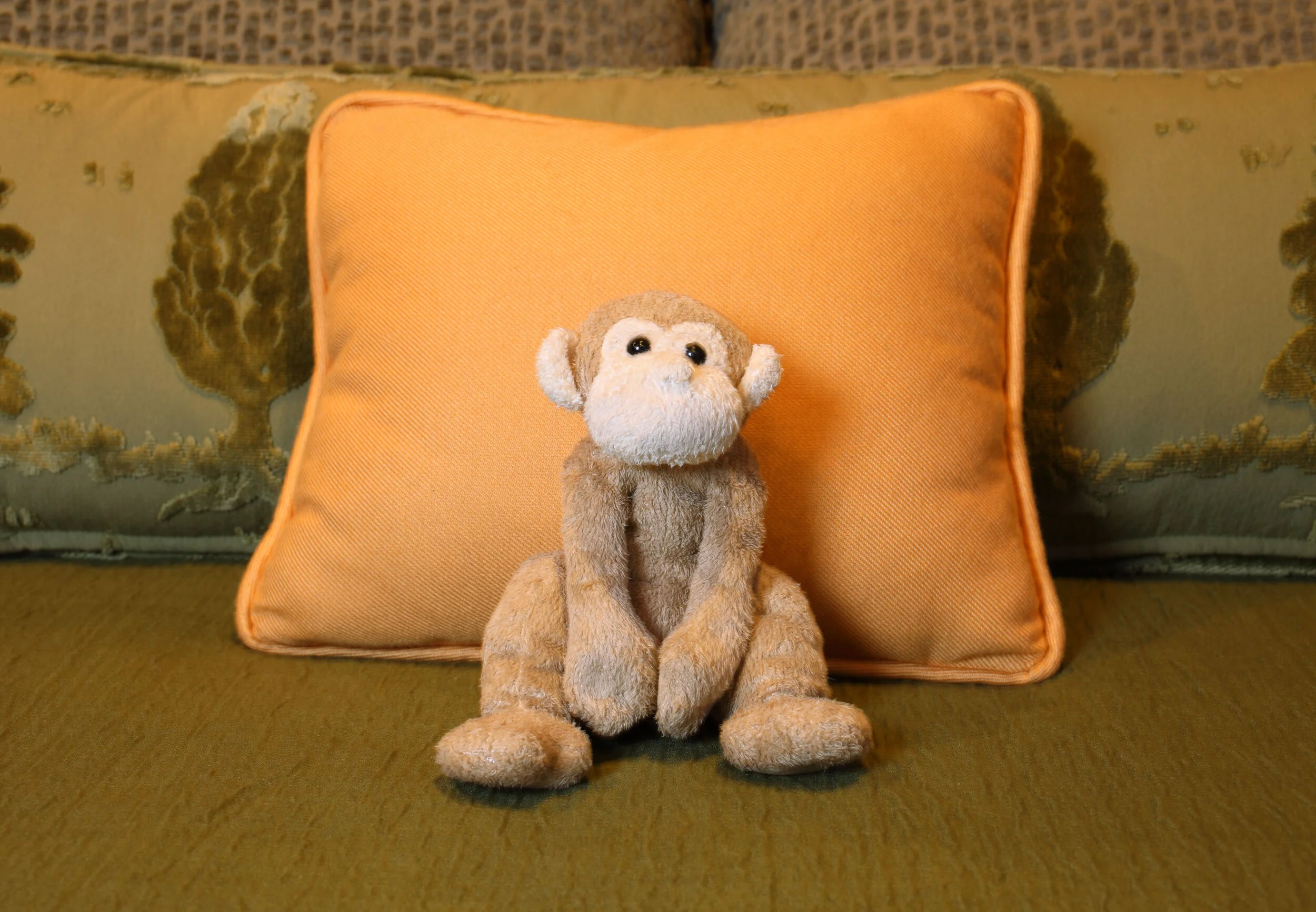 Sarah Barnard Design - Ultra Personalized Color: How an Interior ...