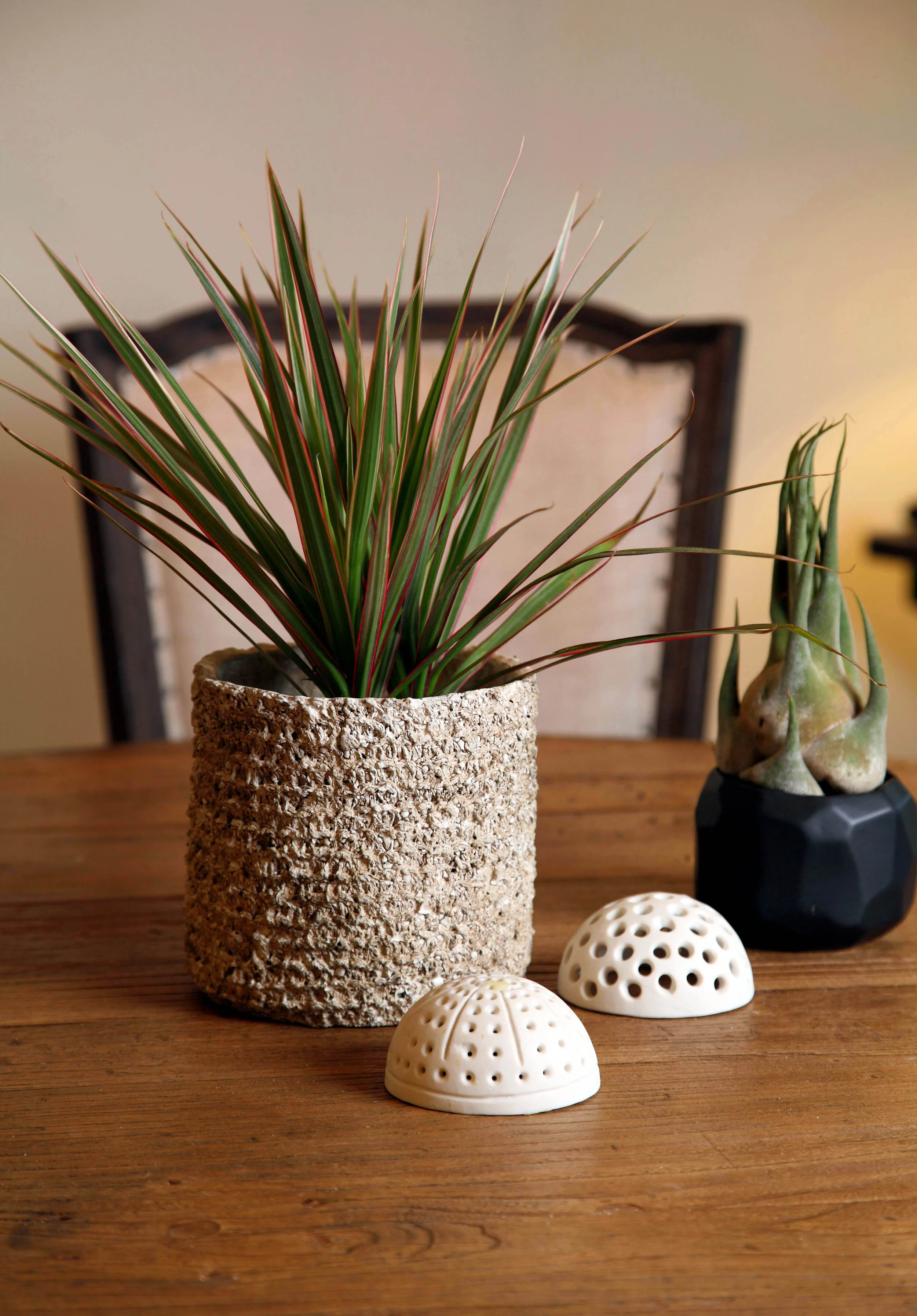 Sarah Barnard Design - Story