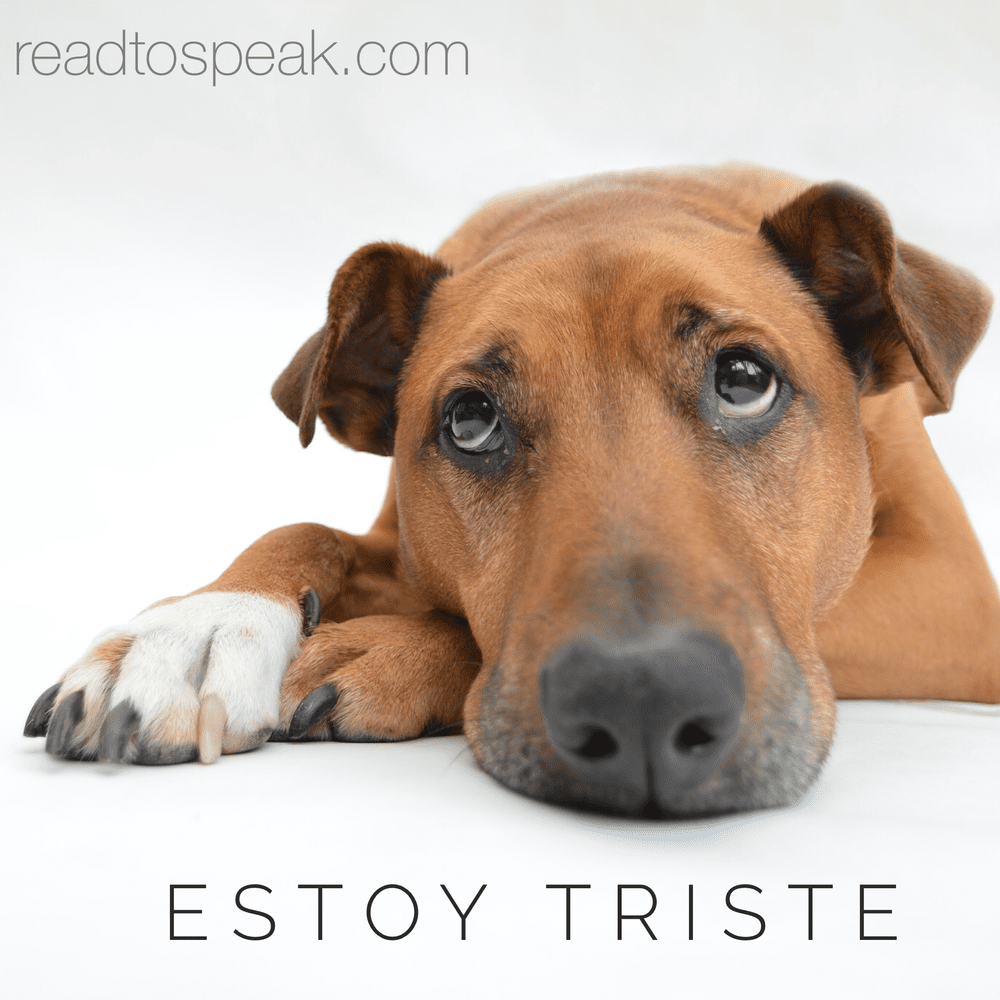 Spanish 101 Study Guide — Read to Speak Spanish
