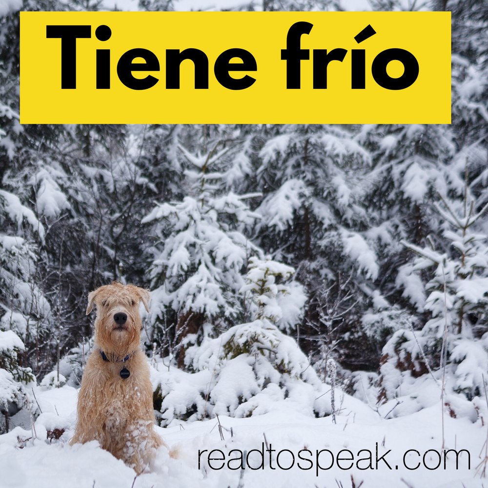 Spanish 101 Study Guide — Read to Speak Spanish