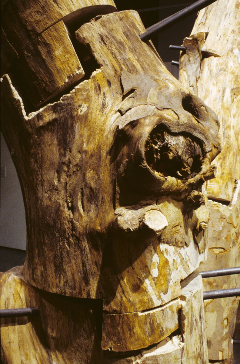 2004 Reconstruction — Mark Baugh-Sasaki