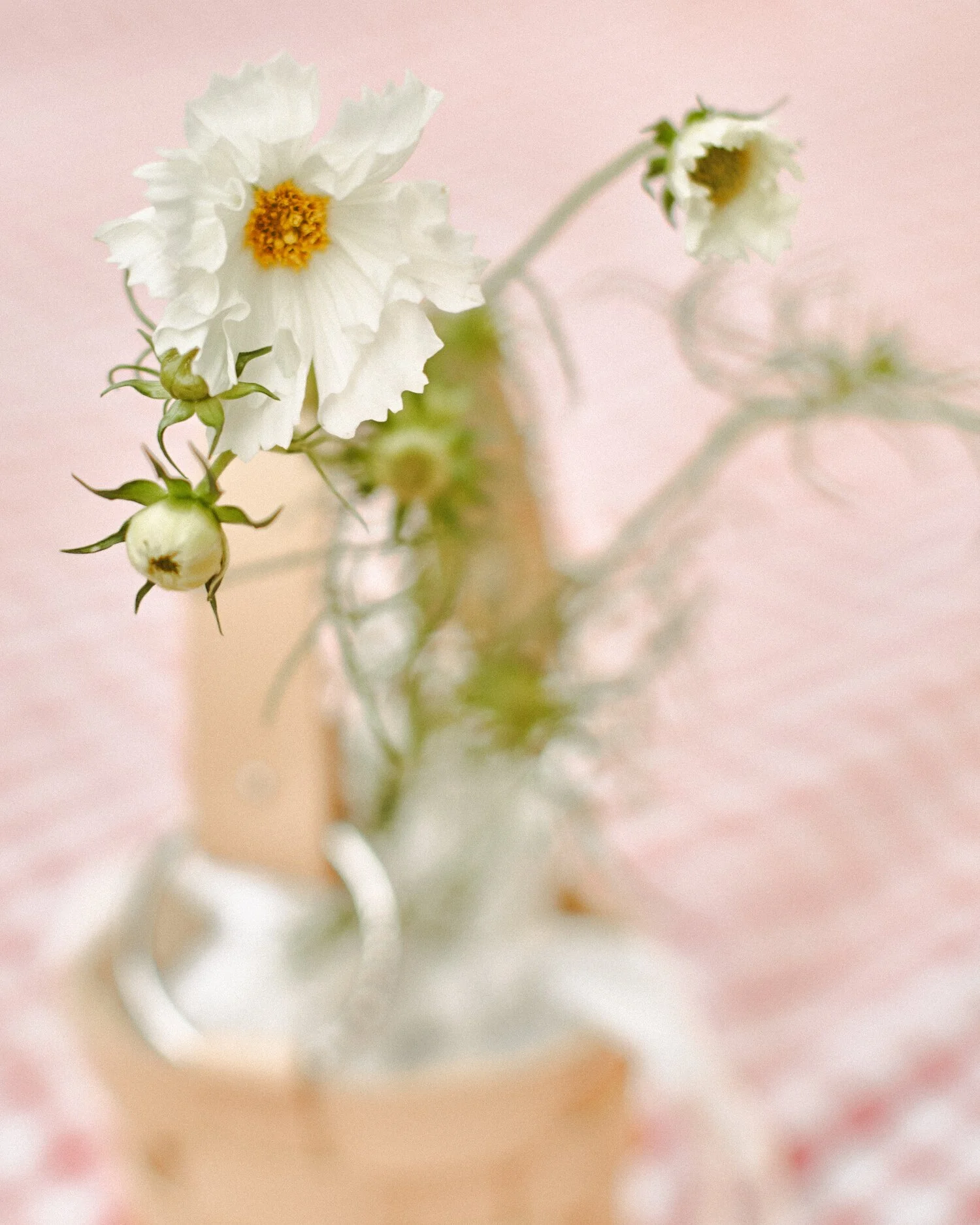 Jessica Portillo Photography