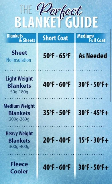"The Perfect Blanket Guide" — EQUINE RACERS