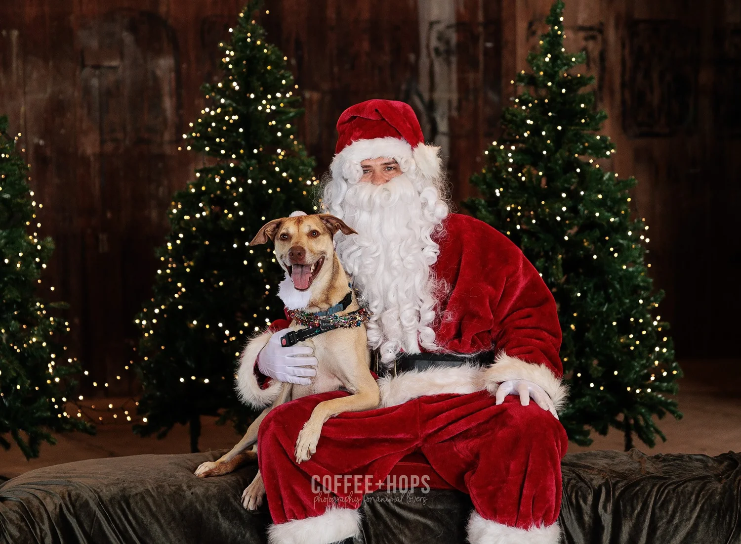 Santa Paws 2025